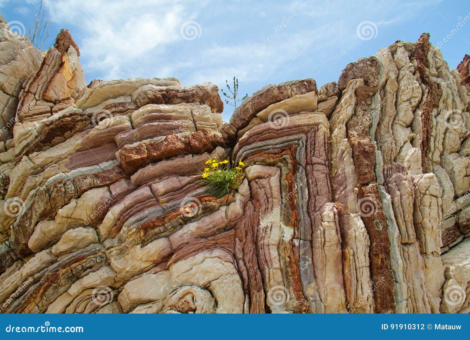 Folded limestone stock photo. Image of layers, orogenic - 91910312