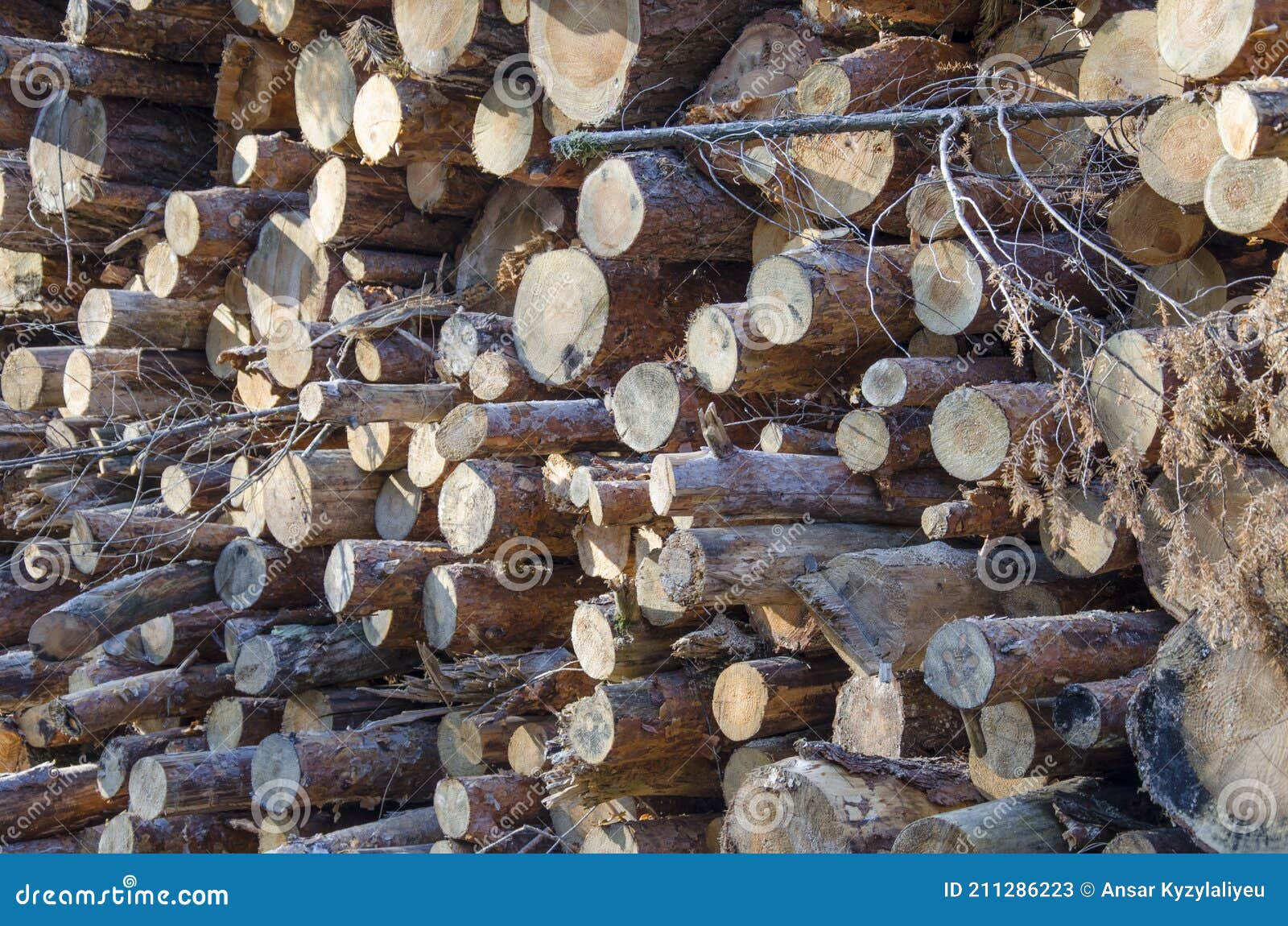 Folded Log Cabin With Logging, Texture Of A Tree, Background Of Trees ...