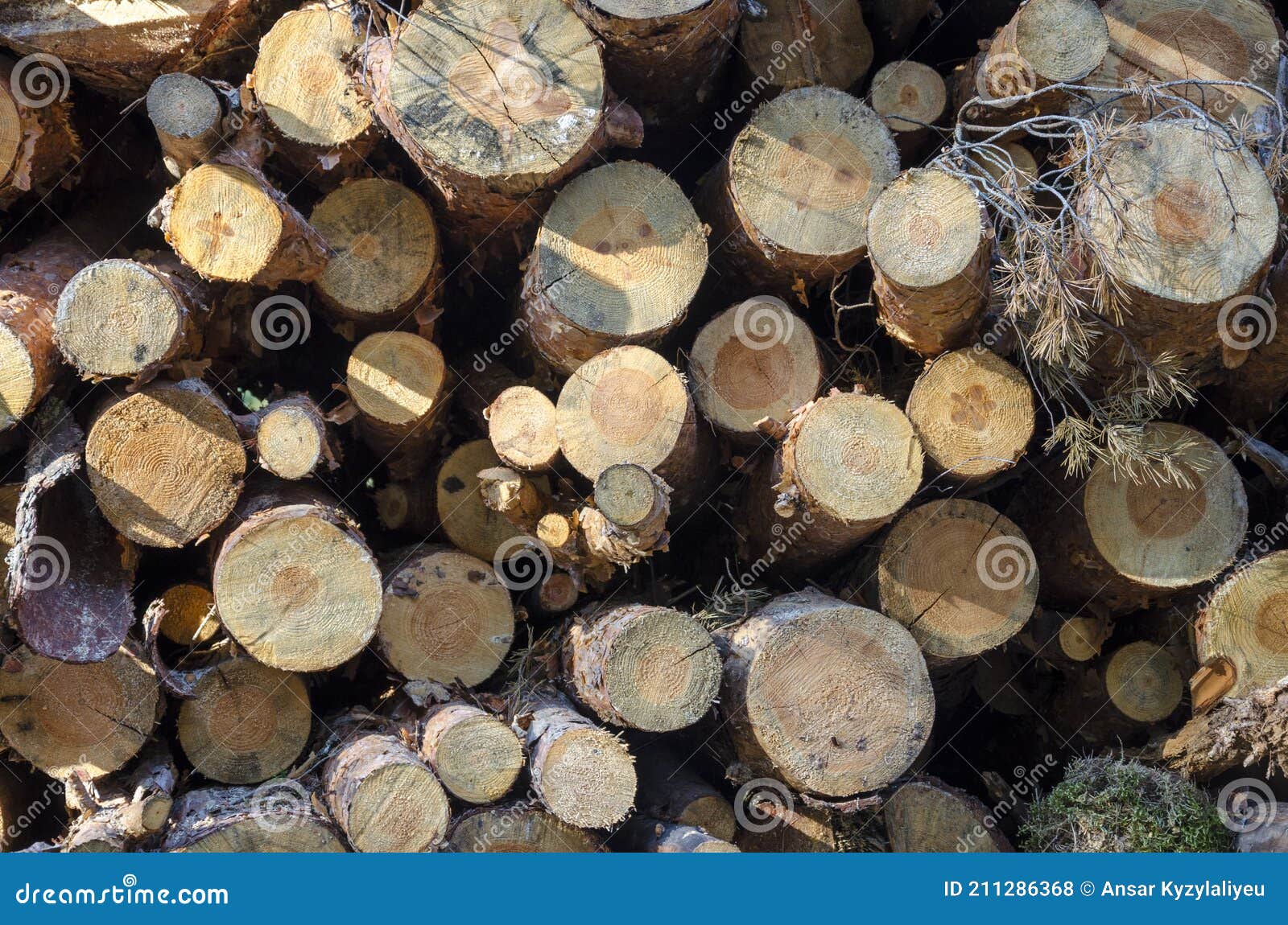 Folded Log Cabin With Logging, Texture Of A Tree, Background Of Trees ...