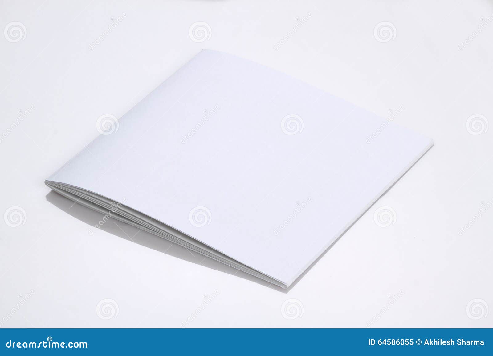 Blank Brochure Mockup, DL Paper Trifold Flyer Stock Image ...