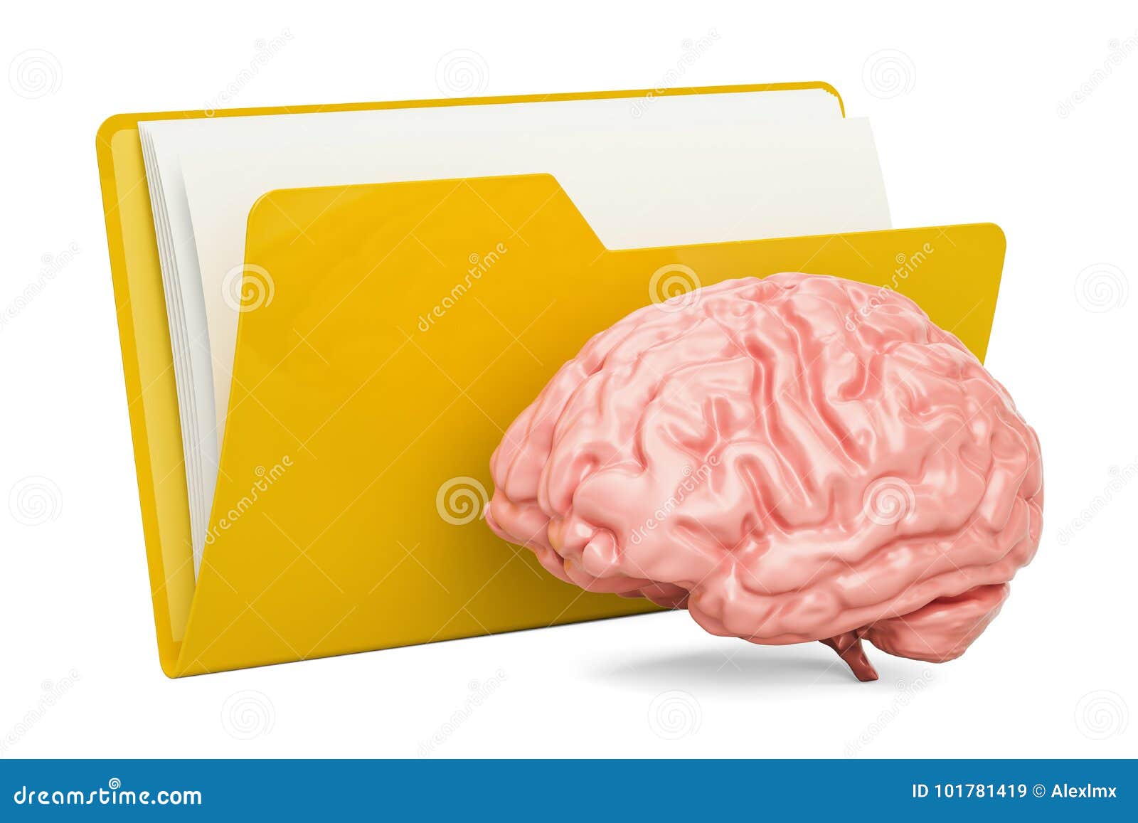 Folder Computer Icon with Human Brain, 3D Rendering Stock Illustration ...