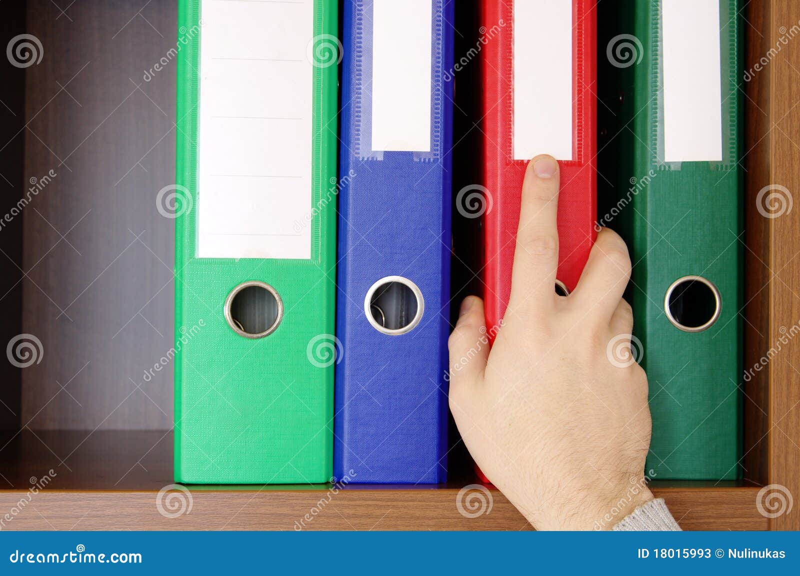 Folder with Documents and a Hand Stock Image - Image of report, folder ...