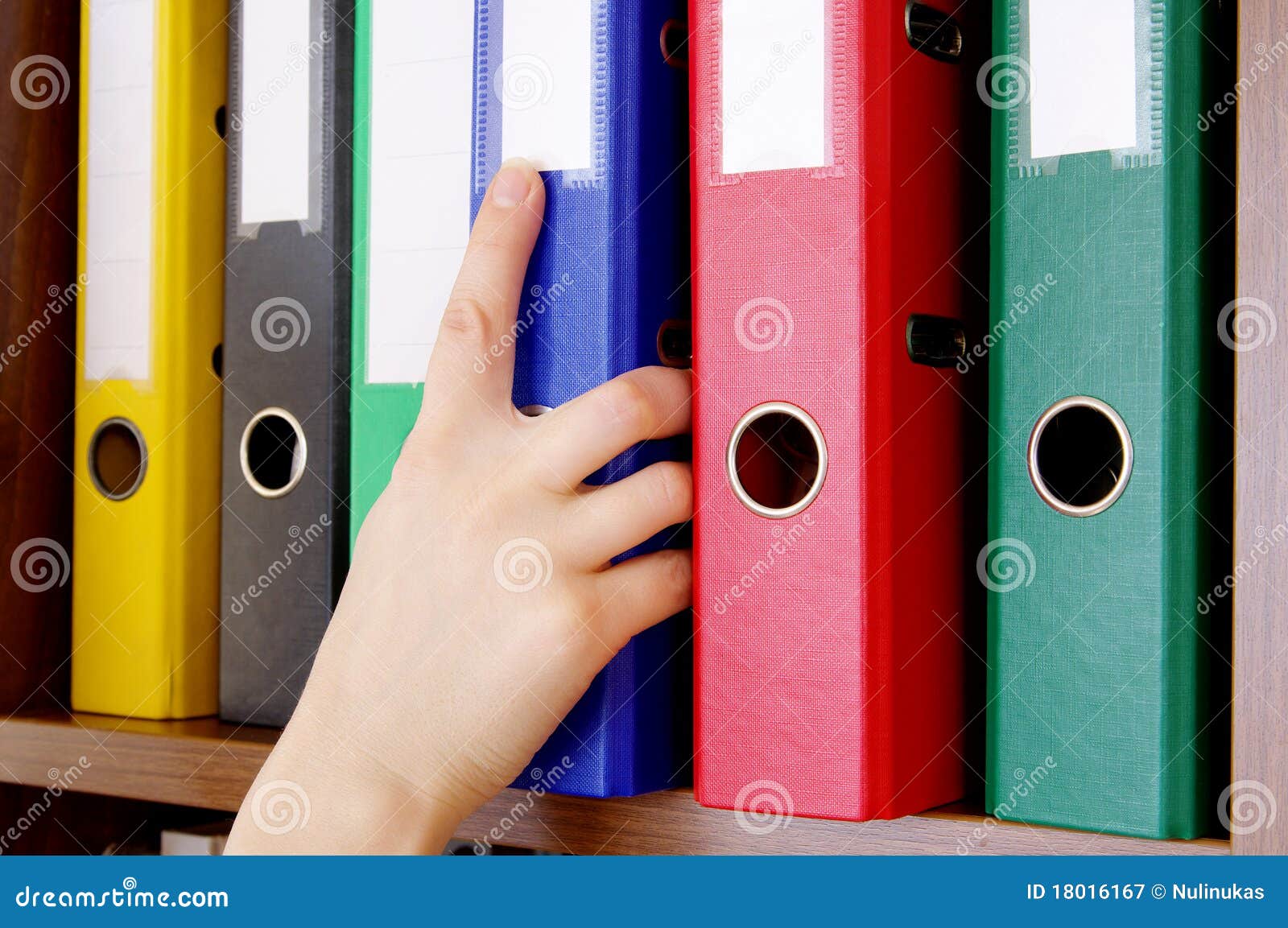 Folder with Documents and a Hand Stock Image - Image of clip, paper ...