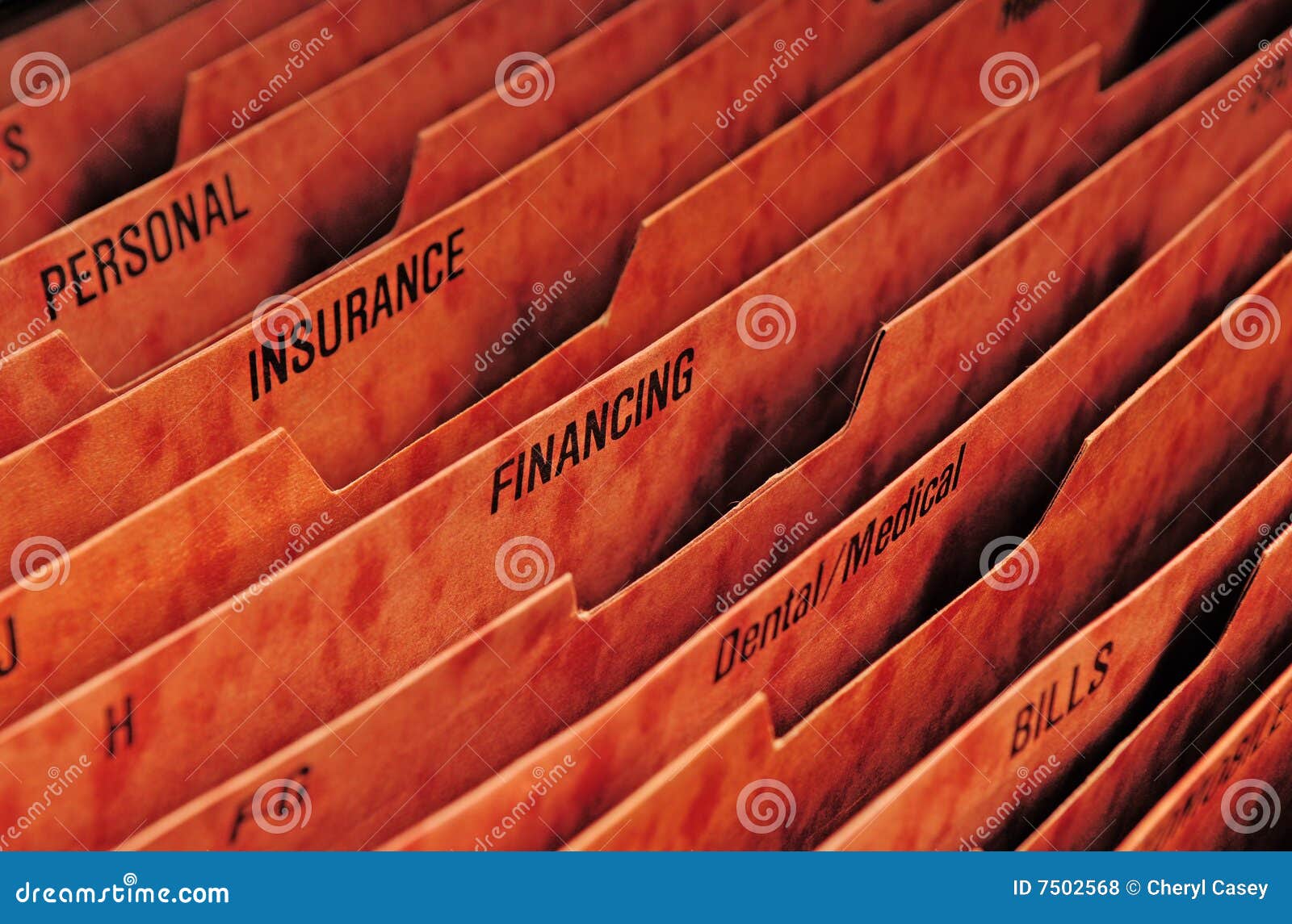 Folder for Financial Papers Stock Photo - Image of expensive, money ...