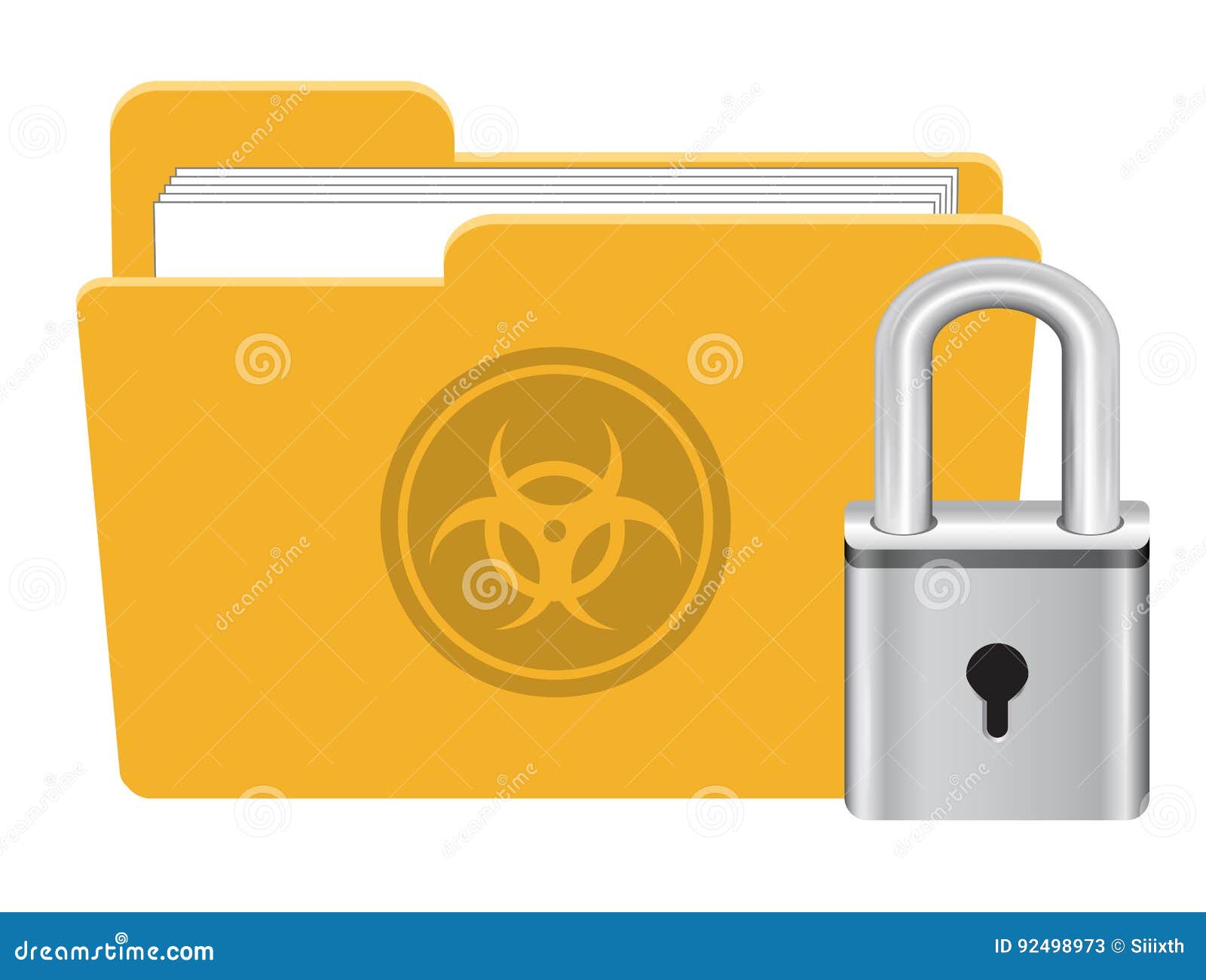 Folder Infected Virus with Master Key Lock Icon Vector Stock Vector ...