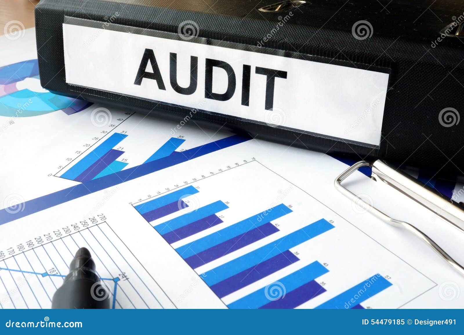 Folder with the Label AUDIT Stock Image - Image of auditor, audit: 54479185