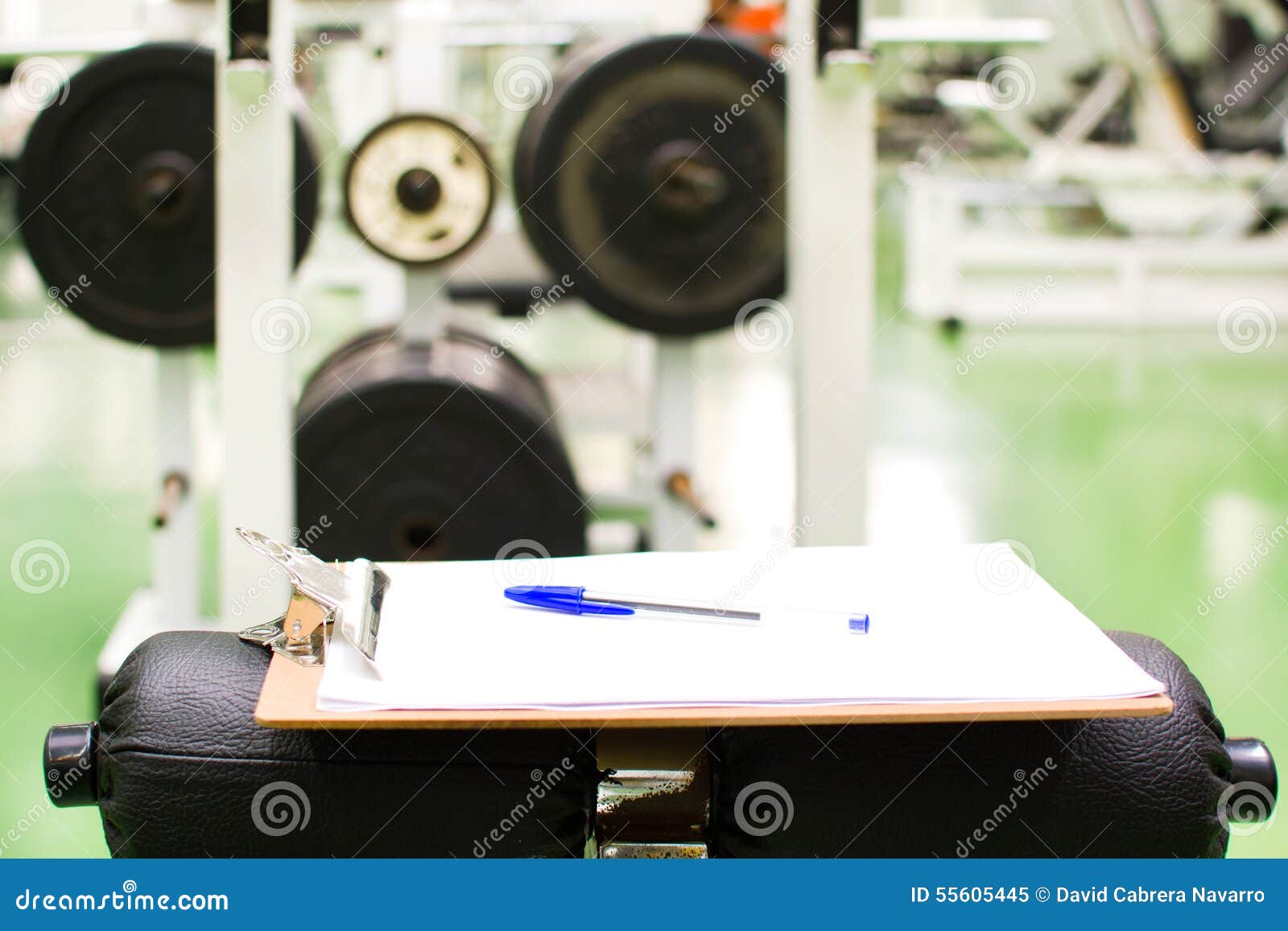 Folder To Plan Training in the Gym Stock Image - Image of strong, women ...