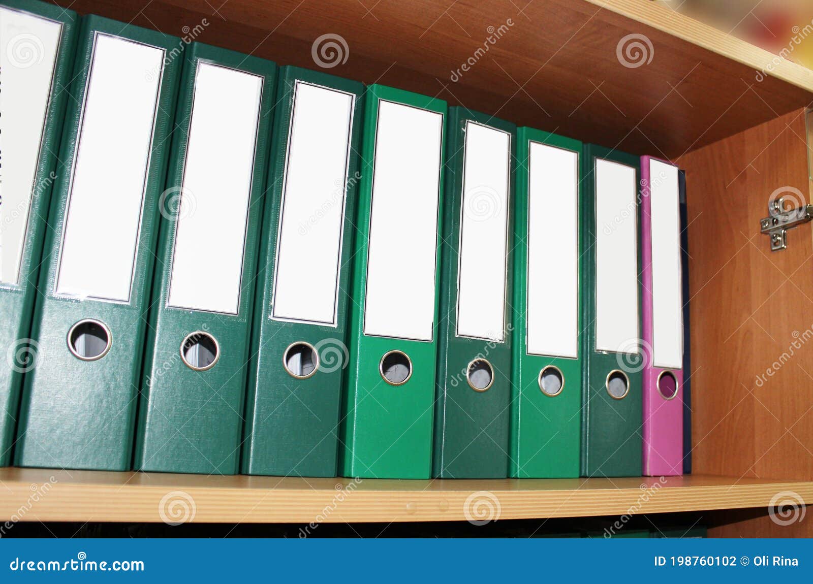 Folders with Green Documents. Stock Photo - Image of archive, order ...