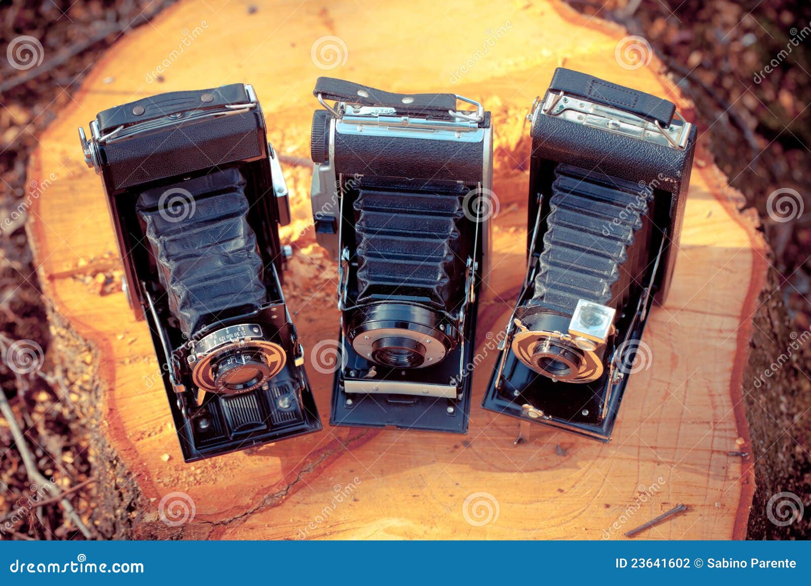 Folding Camera stock photo. Image of background, technology - 23641602