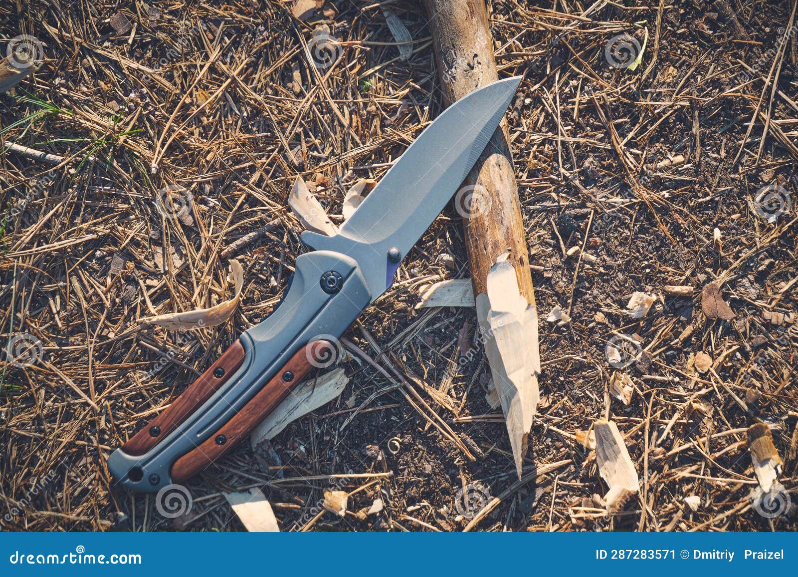 Folding Hunting Knife for Survival and Sharpened Peg Lie Ground. Stock ...