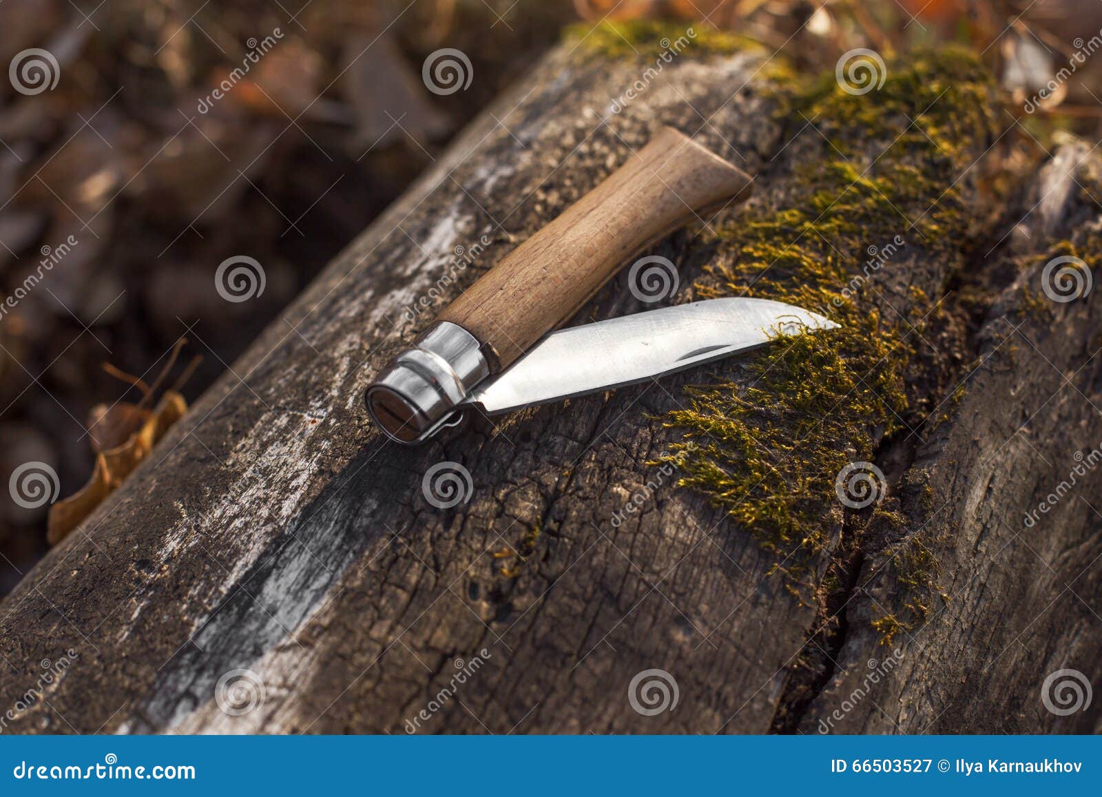 Folding knife on log stock image. Image of black, moss - 66503527