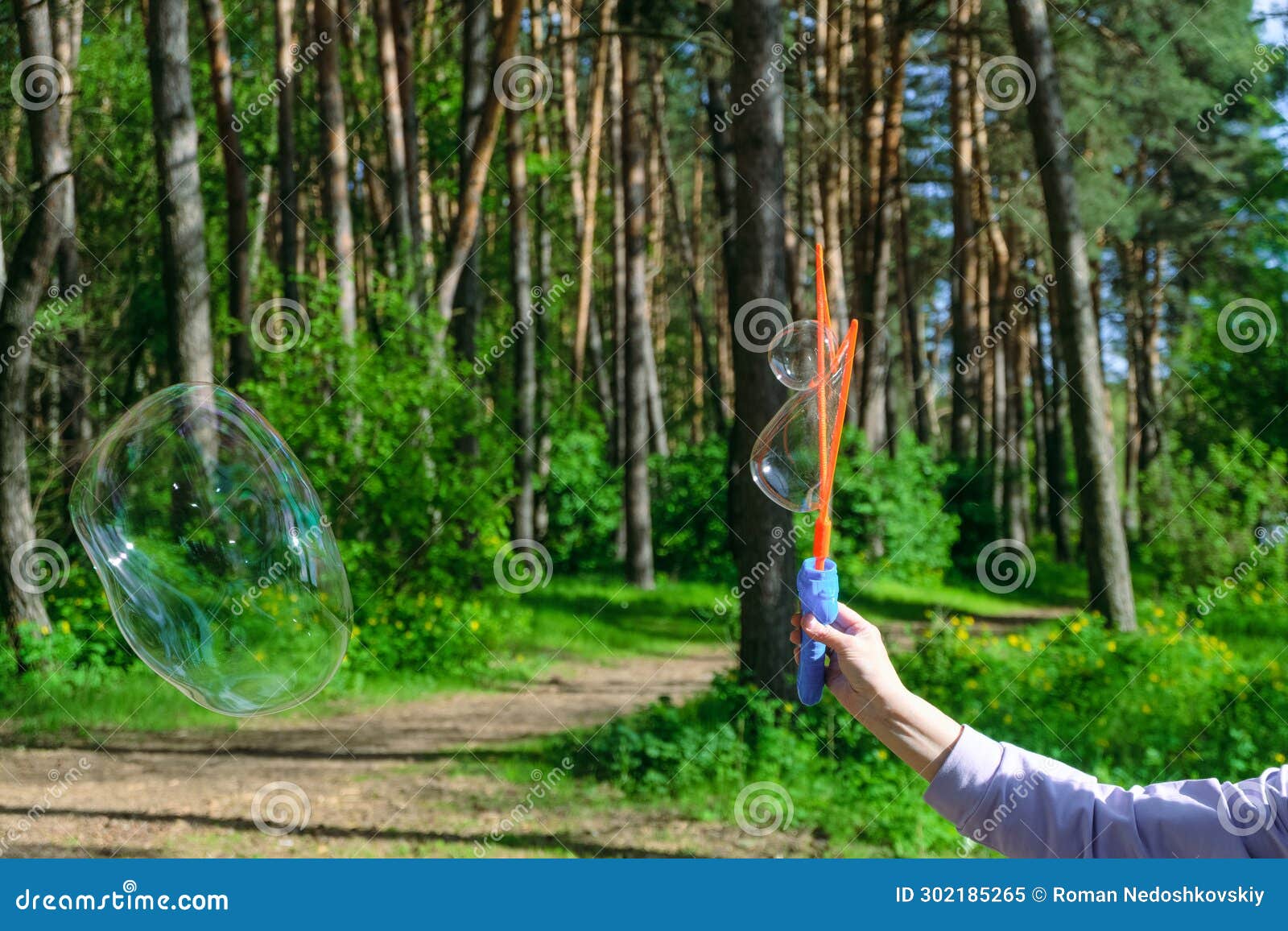 Folding Racket for Soap Bubbles in Green Forest Stock Image - Image of ...