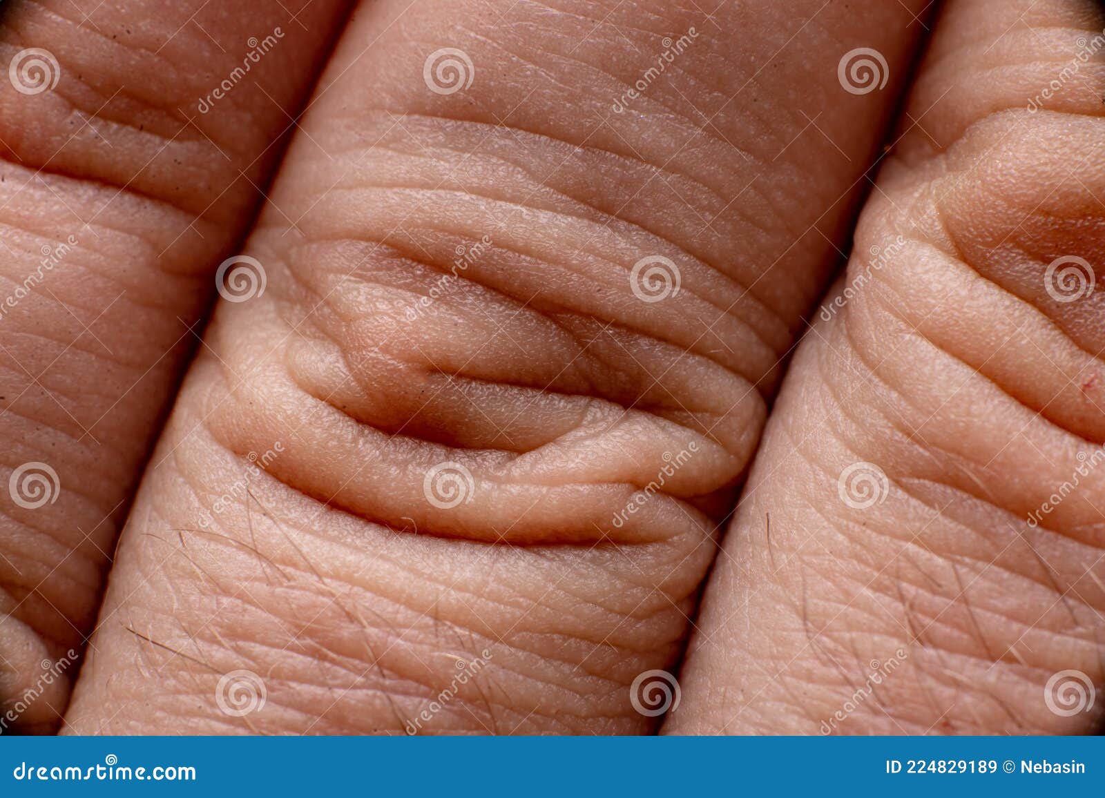Folds of Skin on the Fingers Close Up Stock Image - Image of helping ...