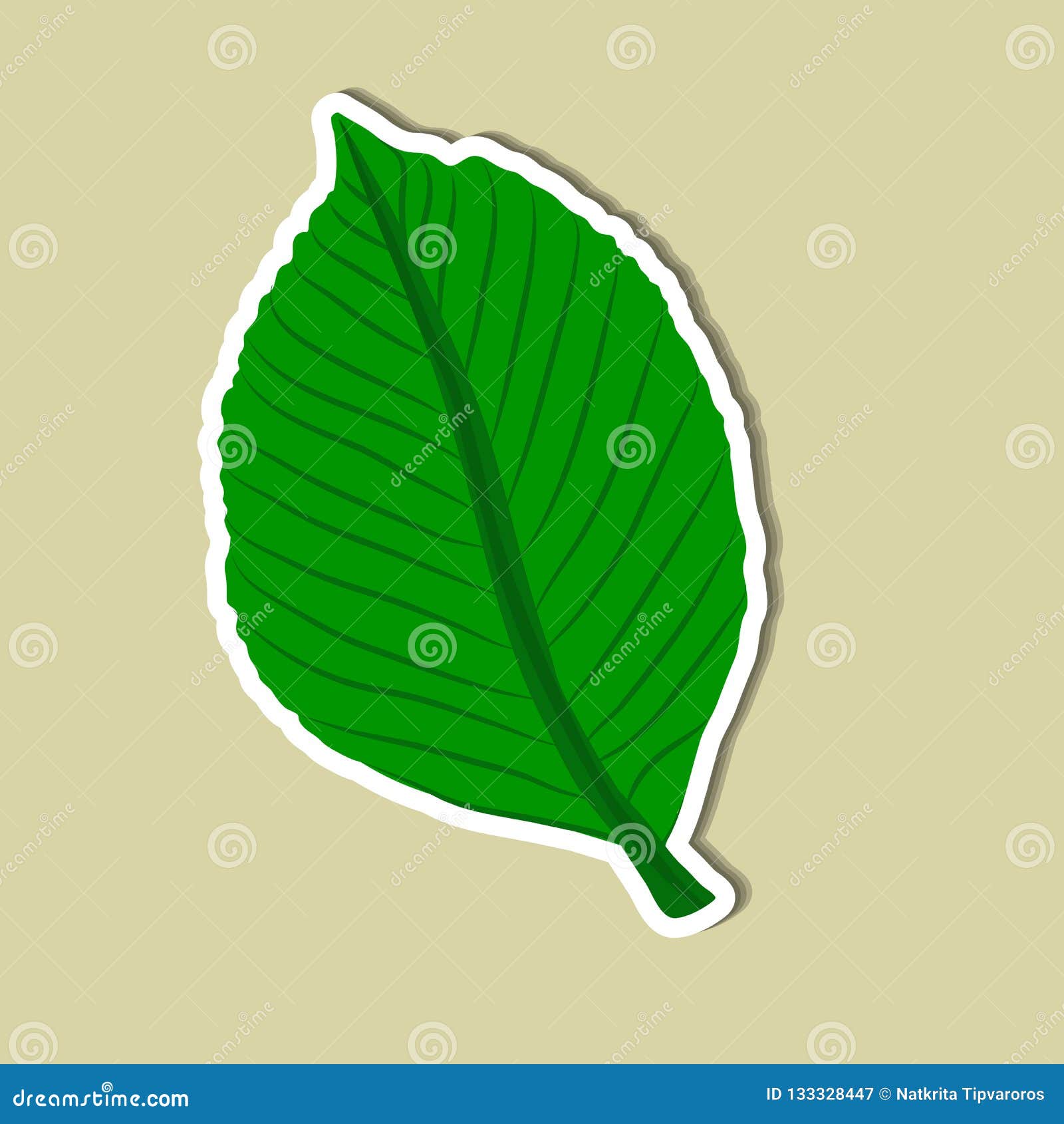 Folha de simples ilustração do vetor. Ilustração de verde - 133328447