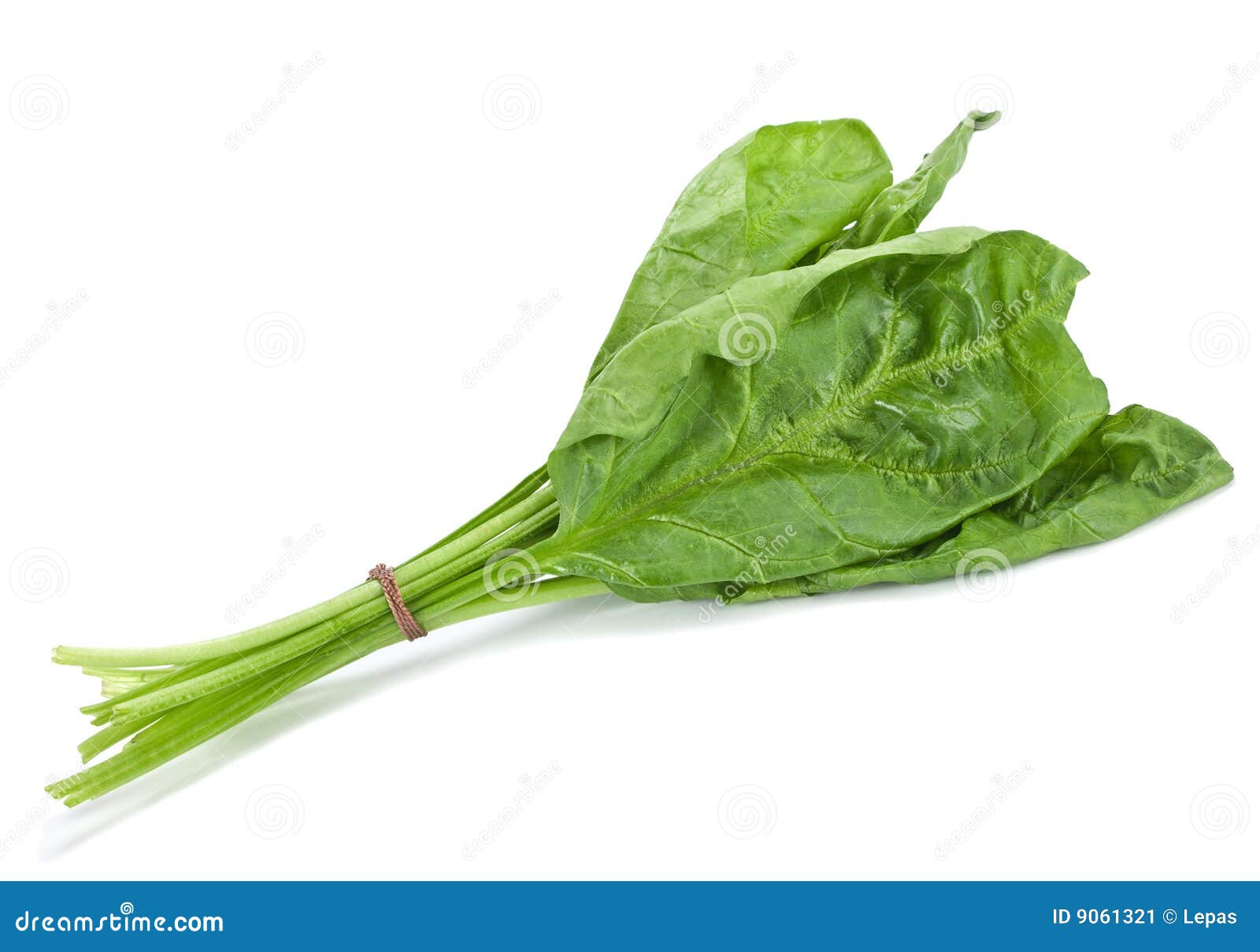 Folha do espinafre imagem de stock. Imagem de frescor - 9061321