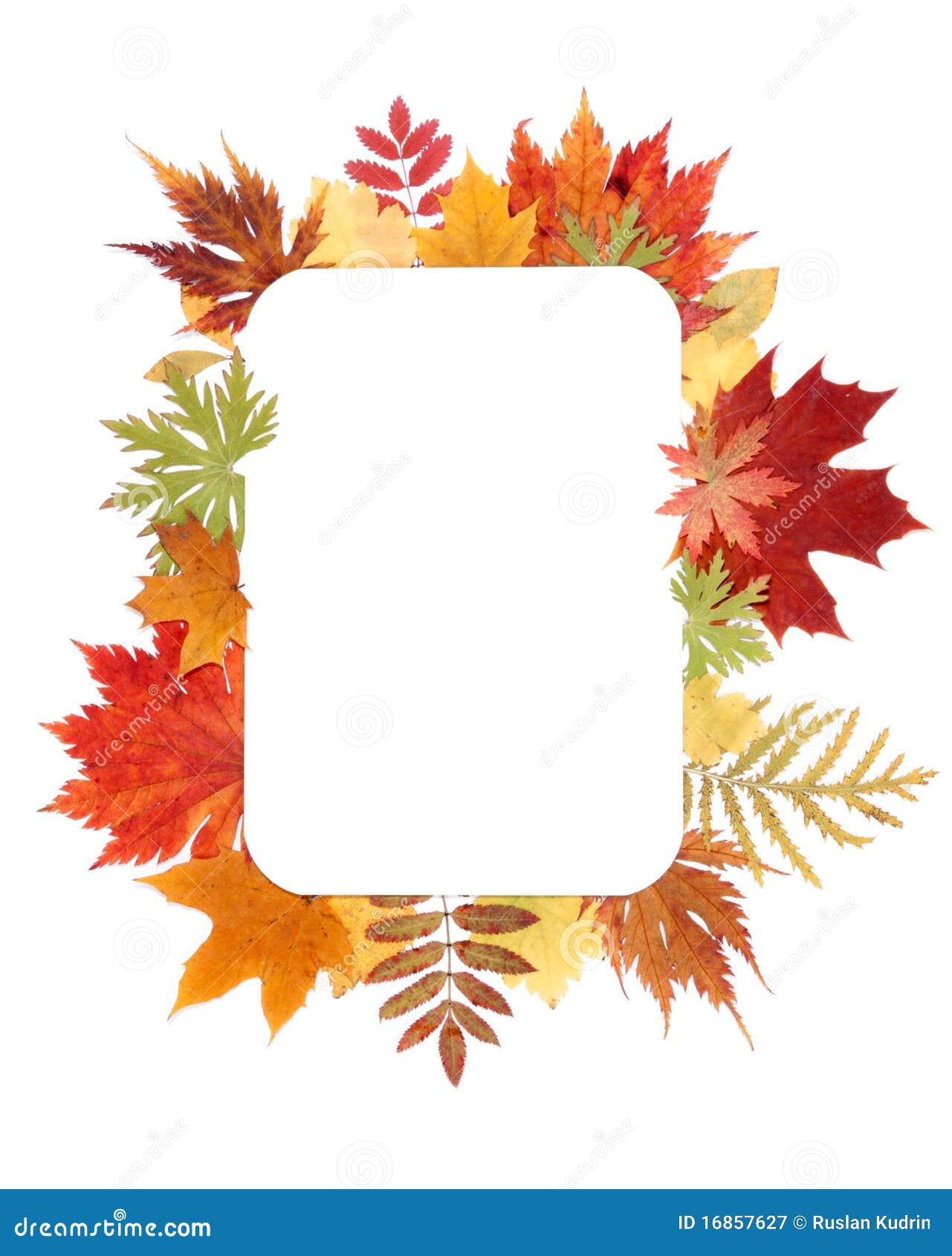 Folha do outono pelo frame imagem de stock. Imagem de feriado - 16857627
