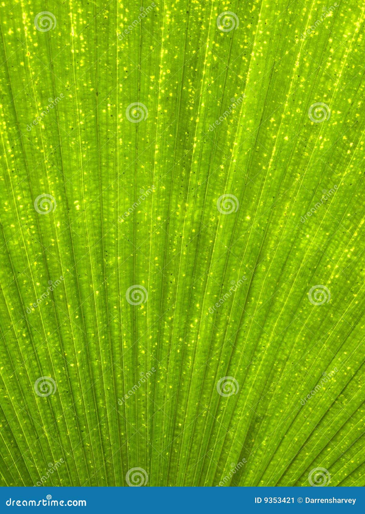 Abacate Verde Color Pictures And Images - RGB Color Hex Code [#80C000 ...