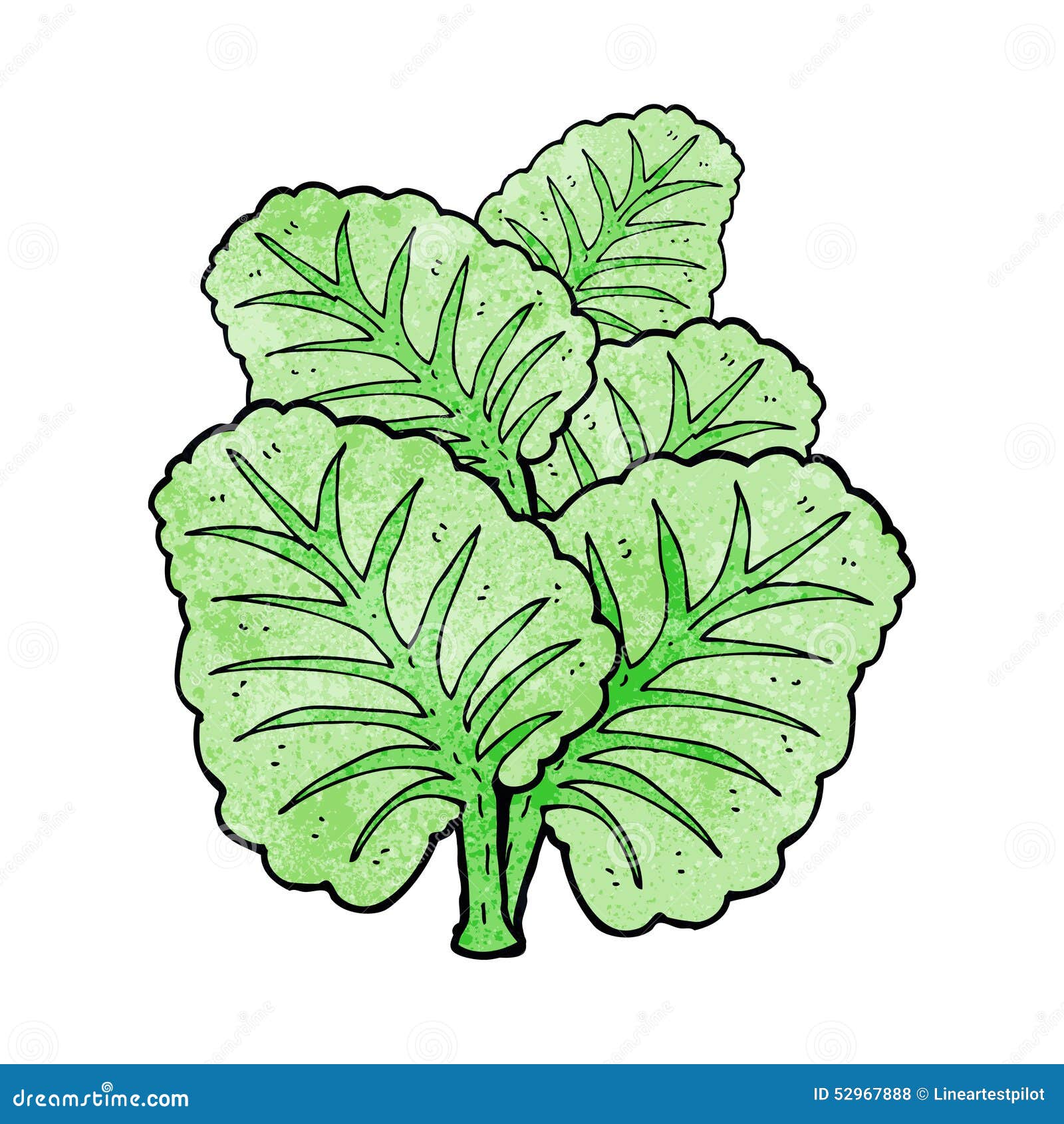 Folhas Da Couve Dos Desenhos Animados Ilustração Stock - Imagem: 52967888