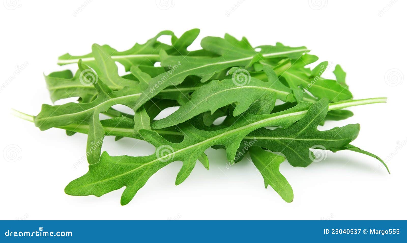 Folhas de Rucola imagem de stock. Imagem de vegetariano - 23040537