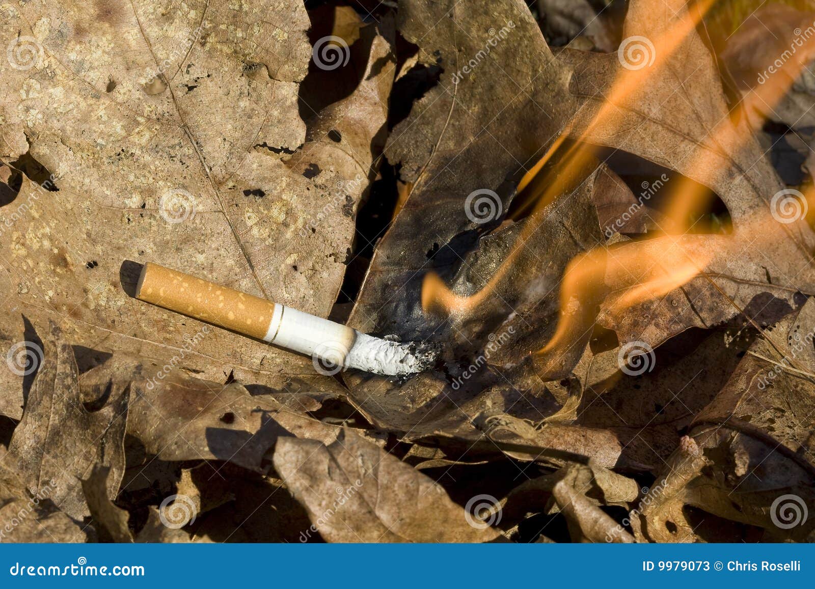 Folhas Do Burning Do Cigarro Imagem de Stock - Imagem de queimadura ...