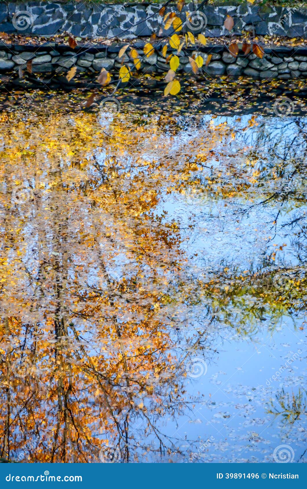 Folhas Espelhadas Em Um Lago Azul Foto de Stock - Imagem de paisagem ...
