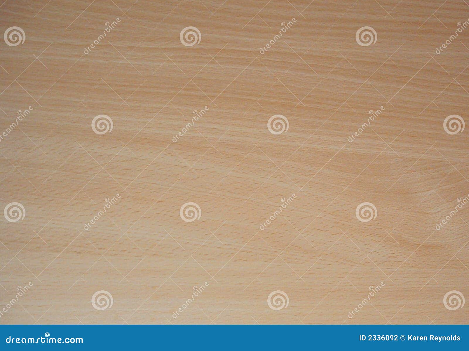 Folheado Da Faia Da Textura Foto de Stock - Imagem de folheado, madeira ...