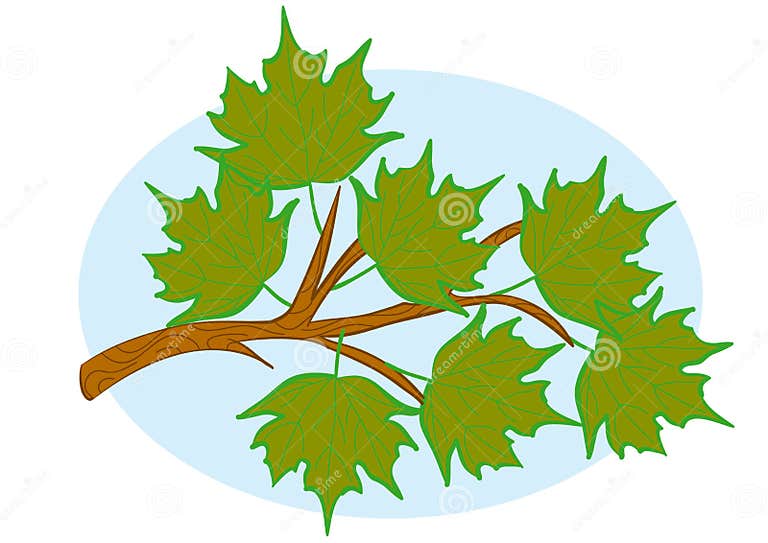 Foliage stock vector. Illustration of design, craft, detail - 15546459