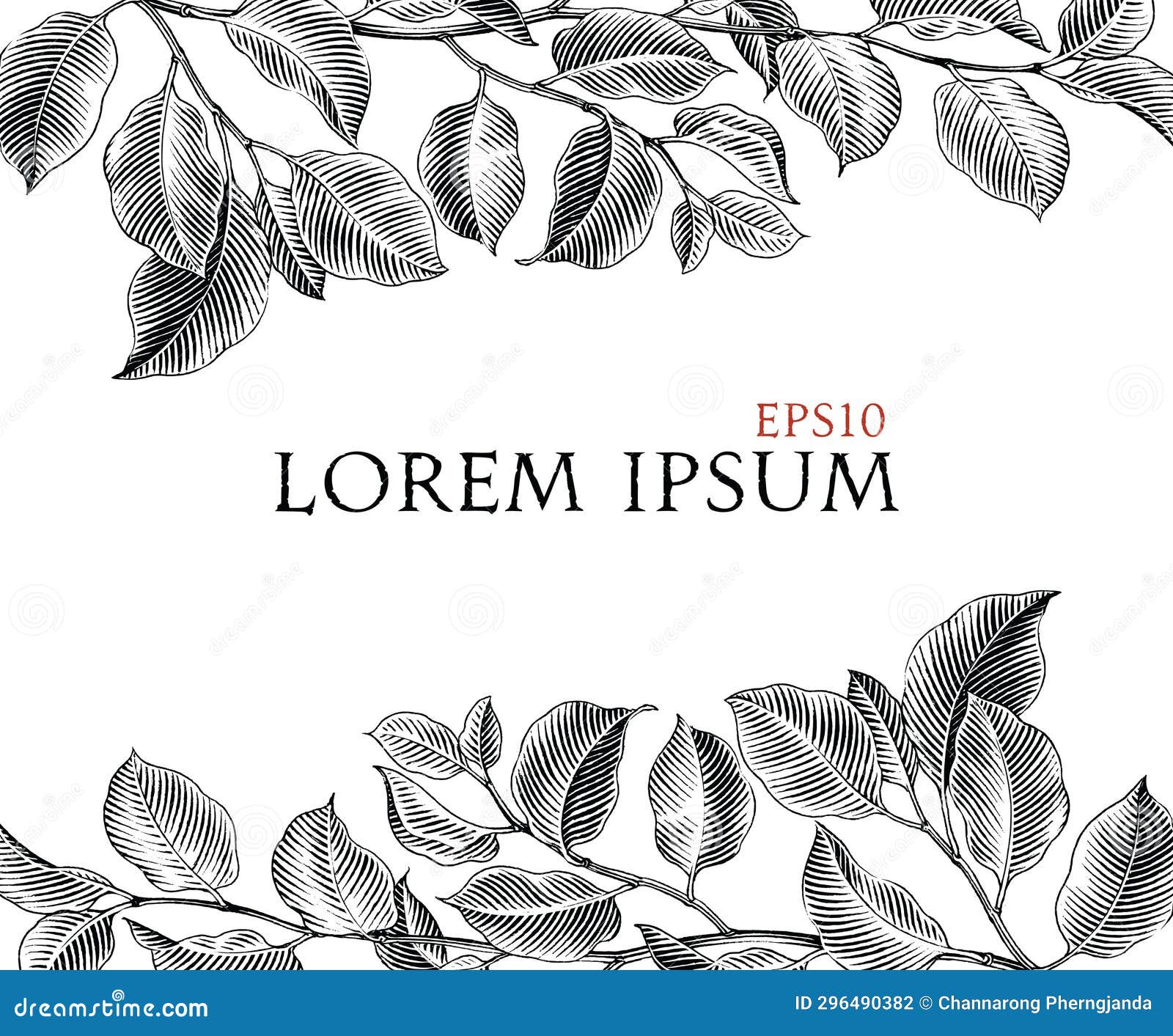 Foliage Branches Frame Hand Drawing Vintage Style Black and White Clip ...