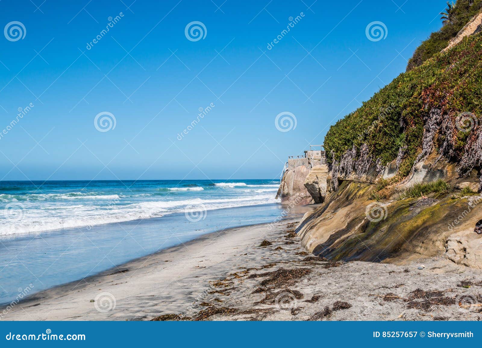 Foliage on Cliff at Beacons`s Beach in Encinitas, California Stock ...