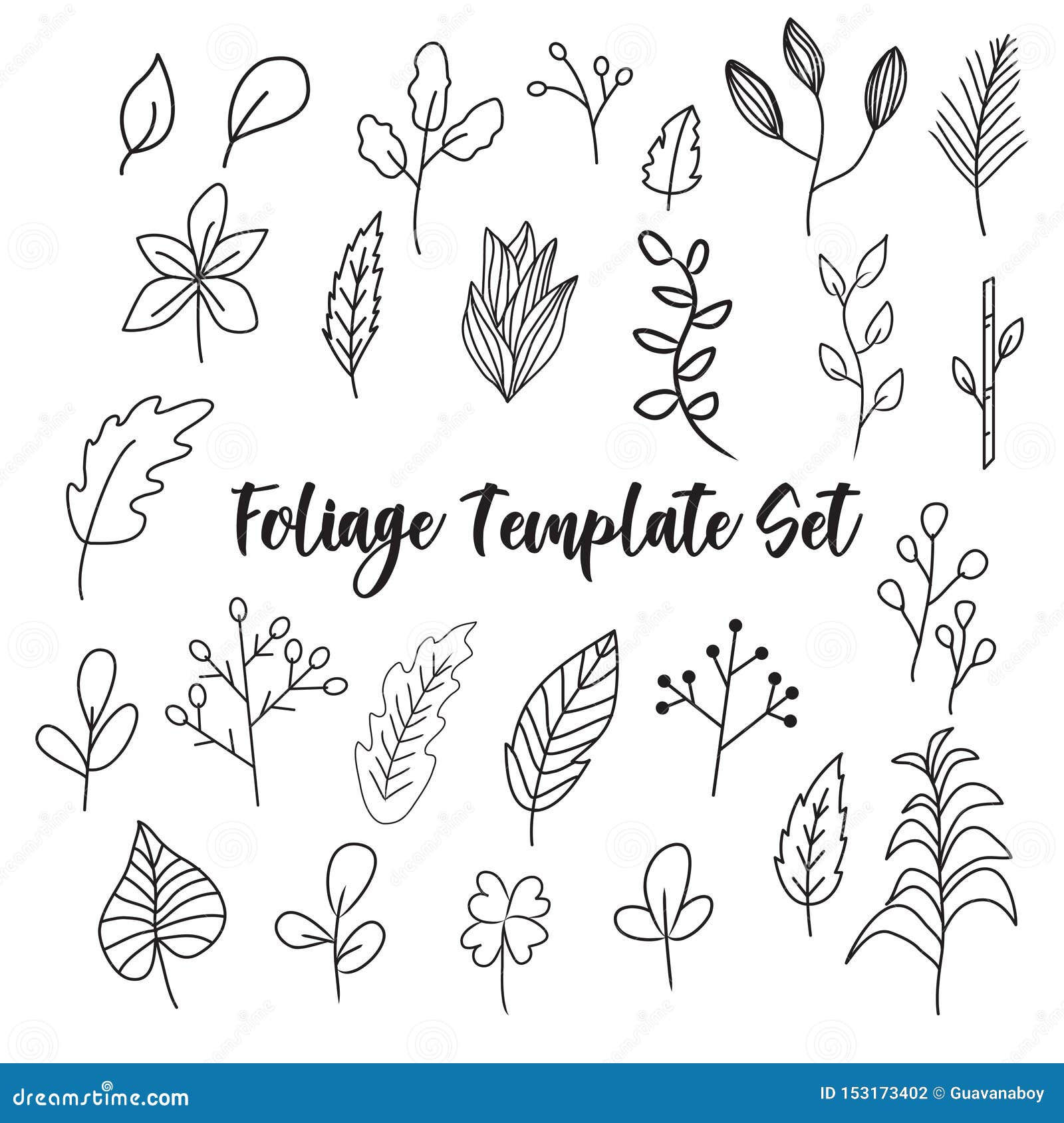Foliage Doodle Template, Foliage Simple Vector, Nature and Flower Stock ...