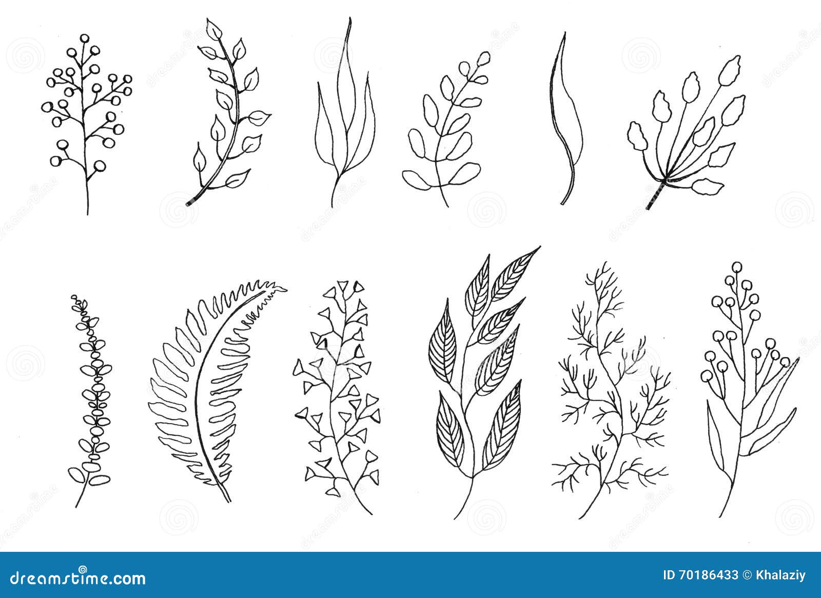 Foliage stock illustration. Illustration of garden, floral - 70186433