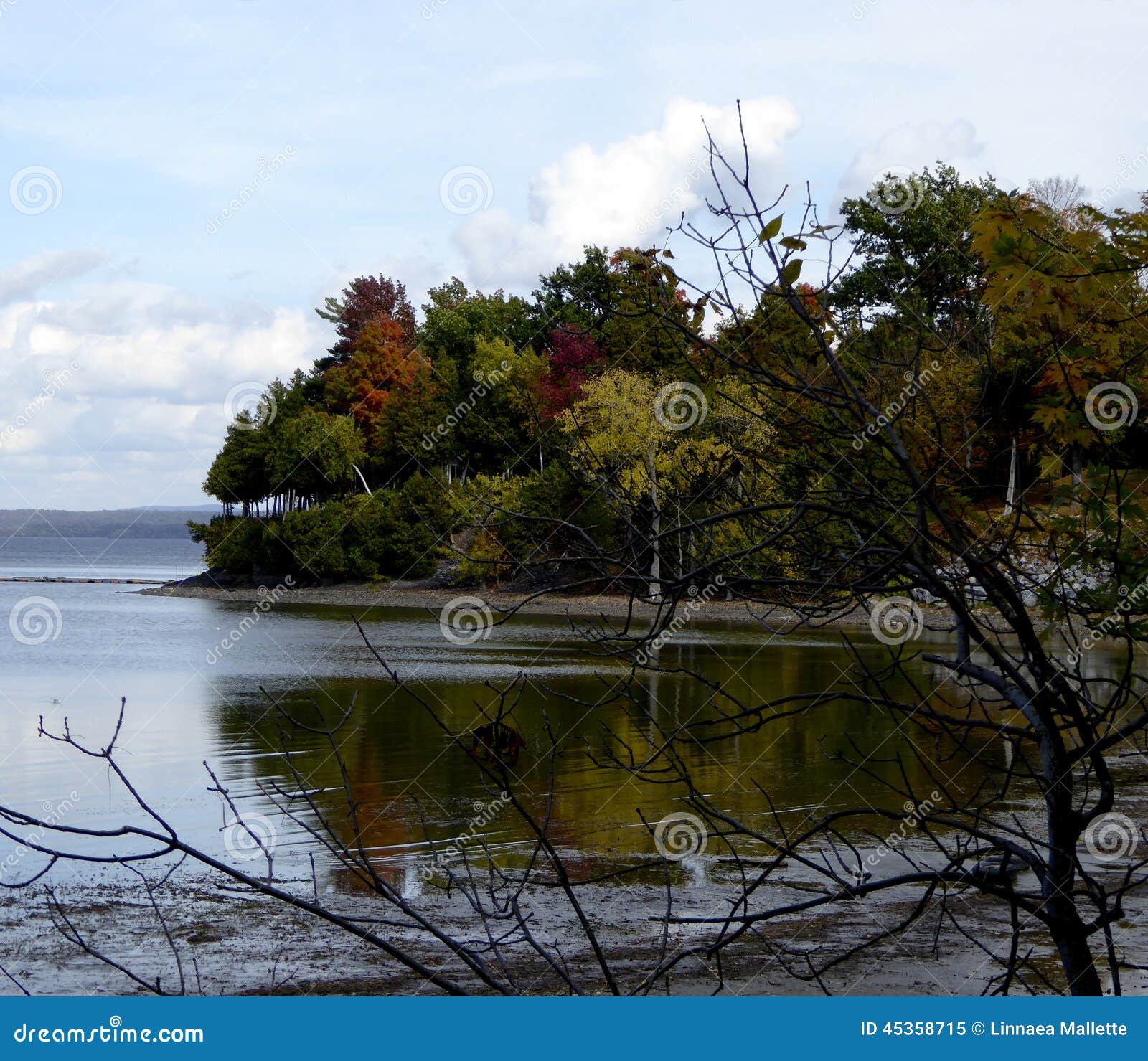 Foliage lake view stock image. Image of ripple, cloudy - 45358715