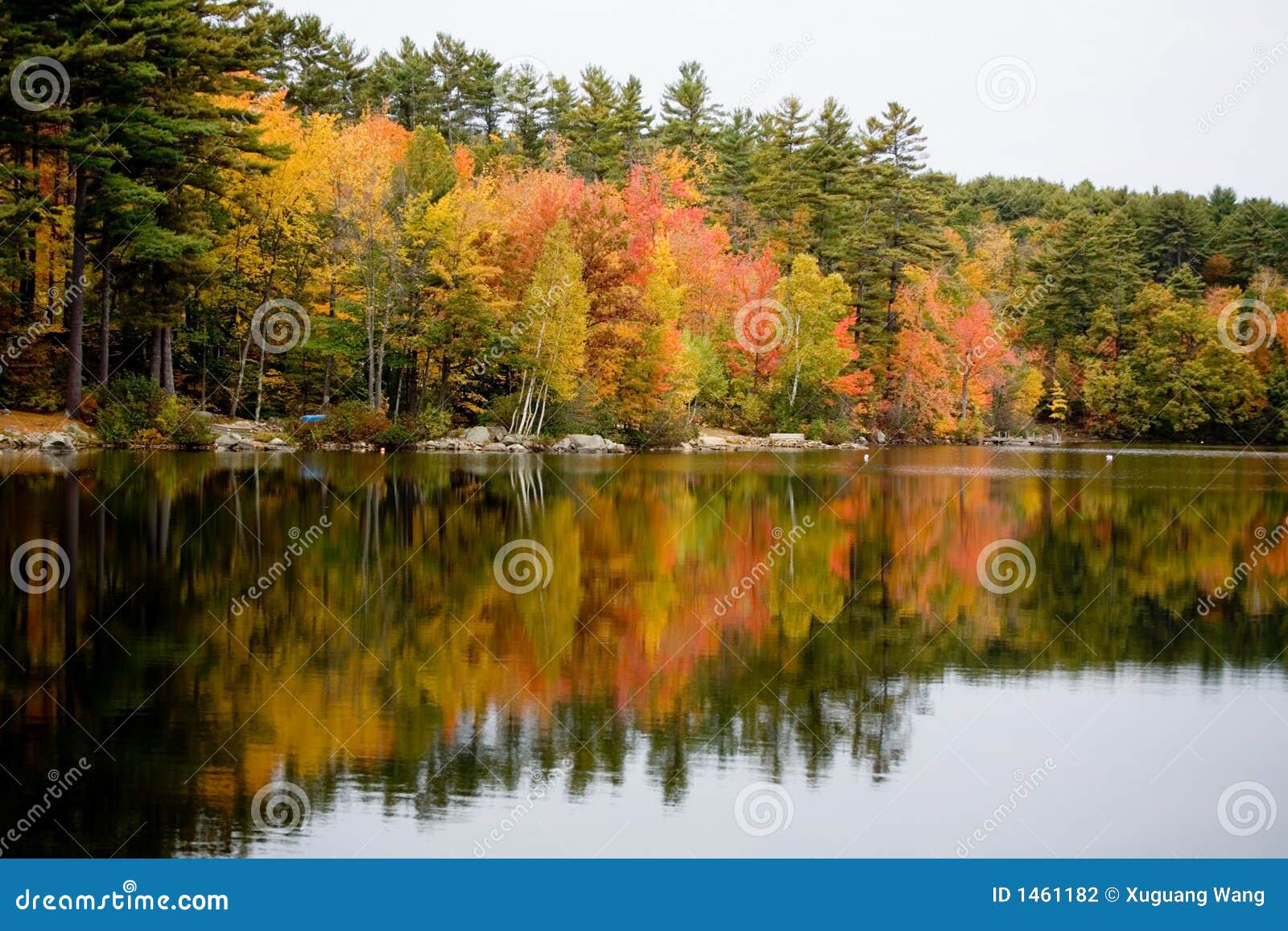 Foliage reflected in Lake stock photo. Image of colorful - 1461182