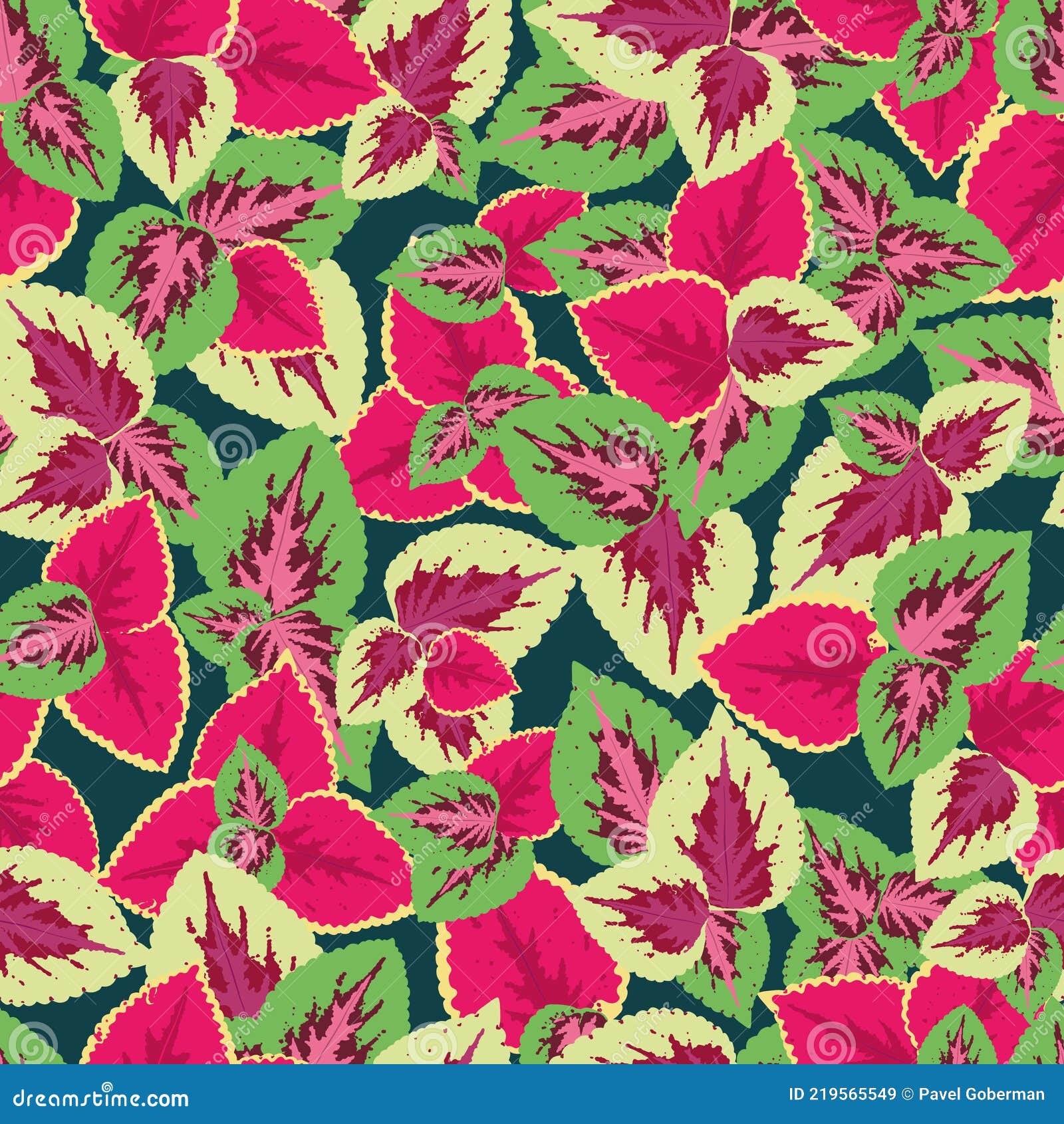 Foliage Seamless Pattern, Leaves of Coleus Blume, Pink and Crimson ... Foliage Seamless Pattern, Leaves of Coleus Blume, Pink and Crimson ...