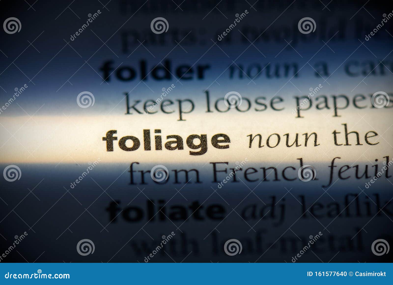 Foliage stock photo. Image of macro, minimal, learn - 161577640