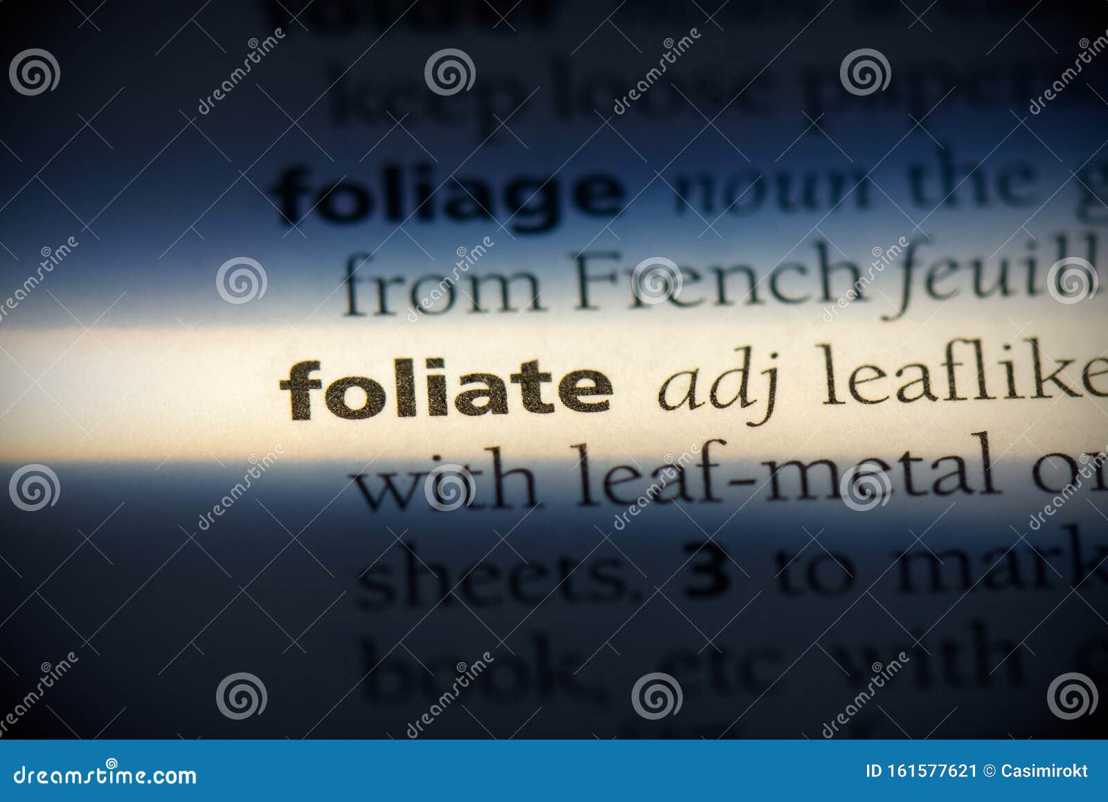 Foliate stock image. Image of paper, detail, isolated - 161577621