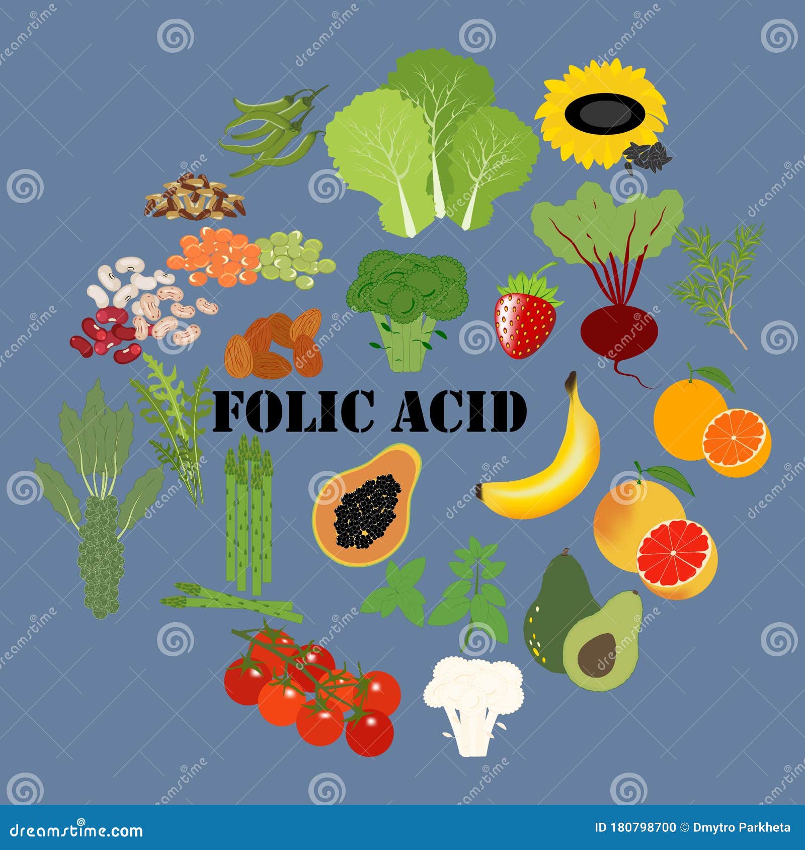 Folic Acid Nutrient Rich Food Vector Illustration Stock Vector ...