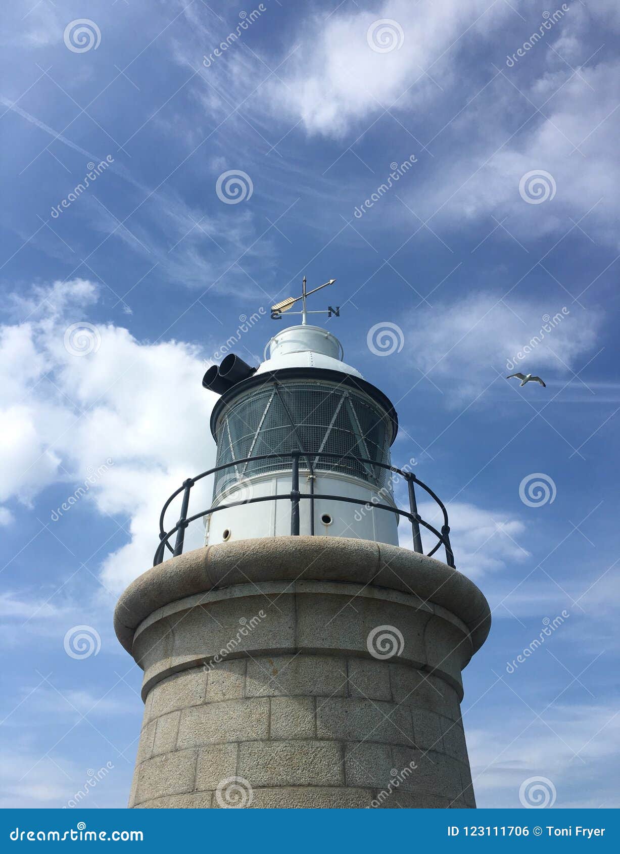 Seagull Over Folkestone Lighthouse Stock Photo - Image of holidayathome ...