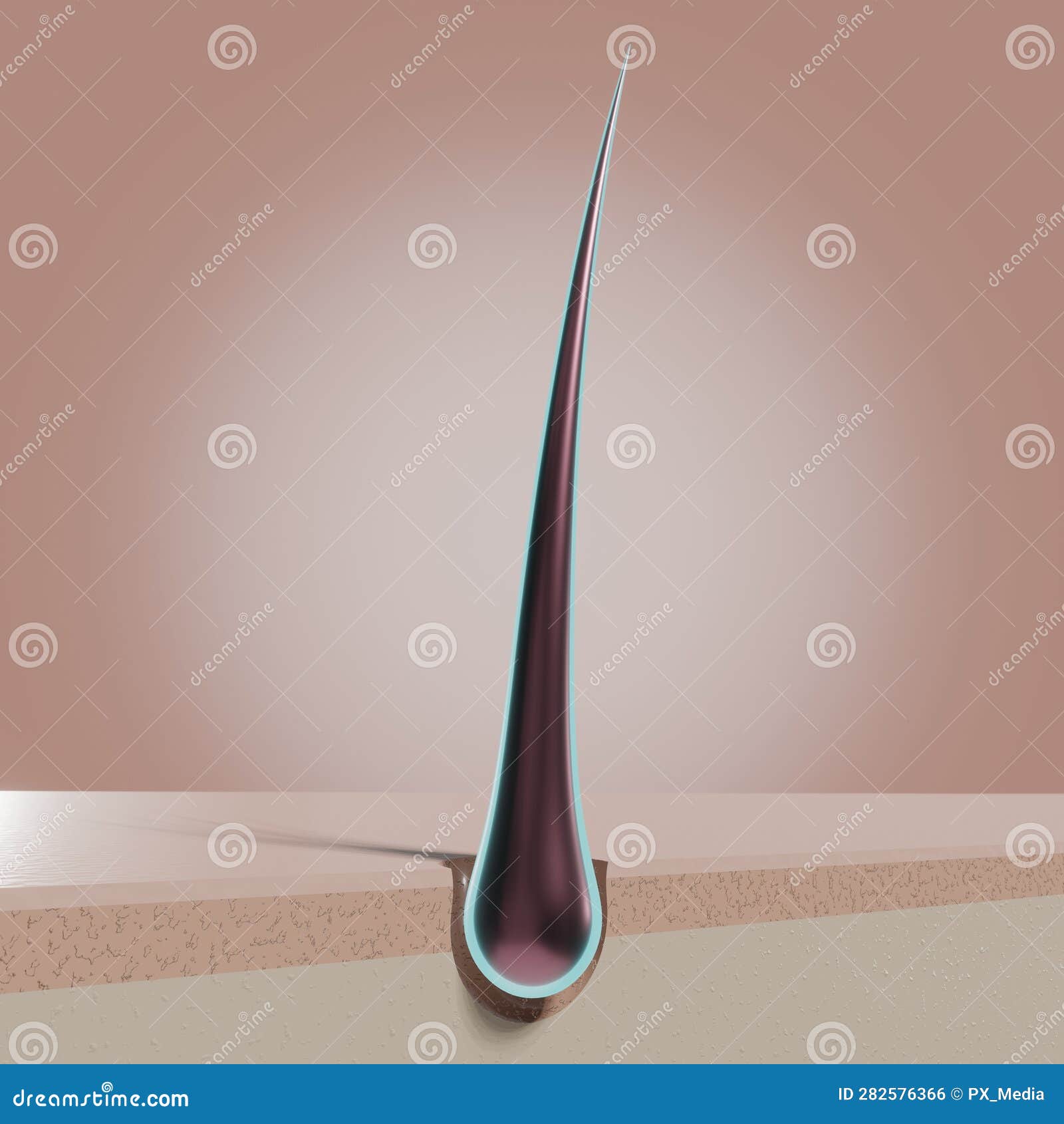 Follicule Pileux Unique 3d Illustration Illustration Stock ...