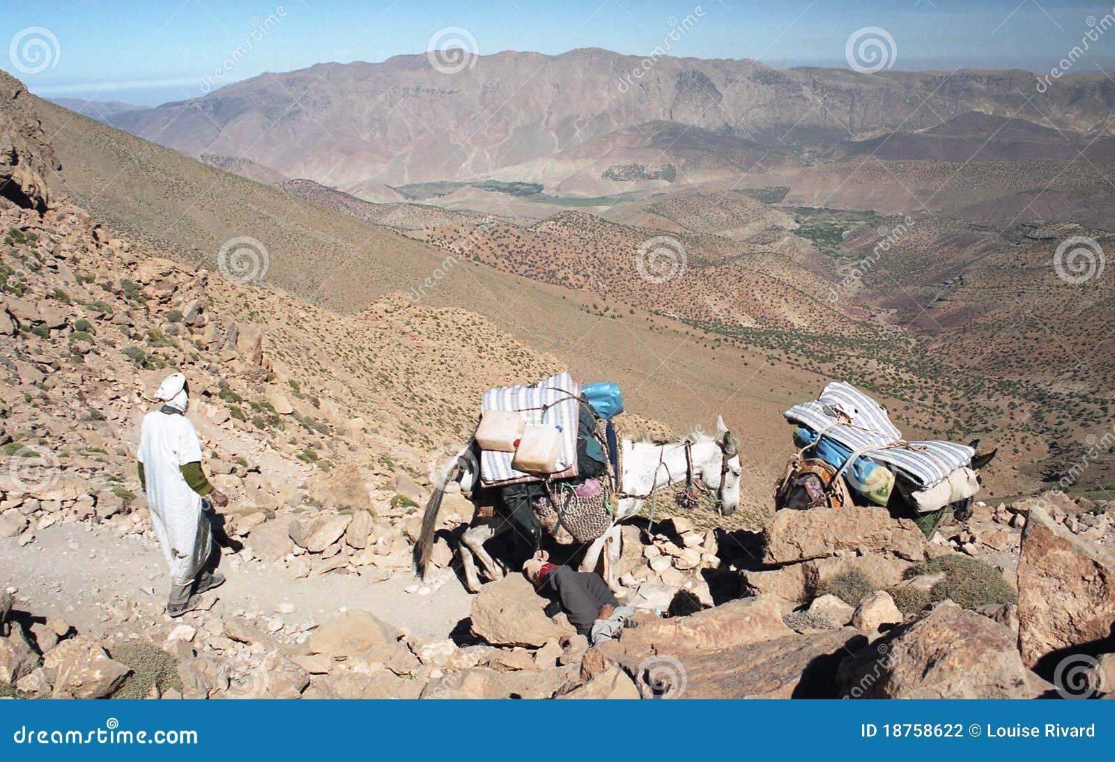 Follow the guide editorial photography. Image of guide - 18758622