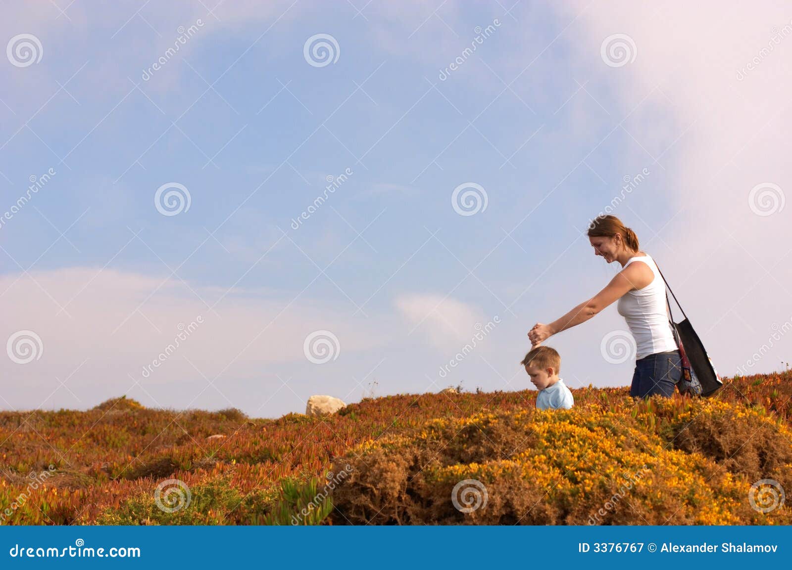 Follow the guide stock image. Image of mother, summer - 3376767