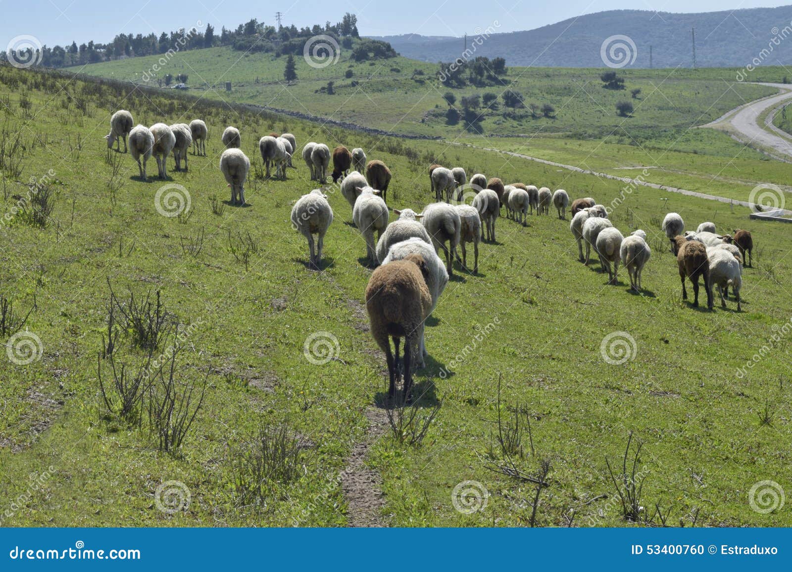 Follow the leader stock photo. Image of classic, landscape - 53400760