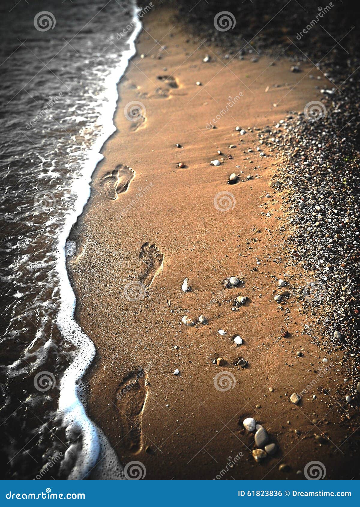 Footprints on the sand stock photo. Image of mankind - 61823836