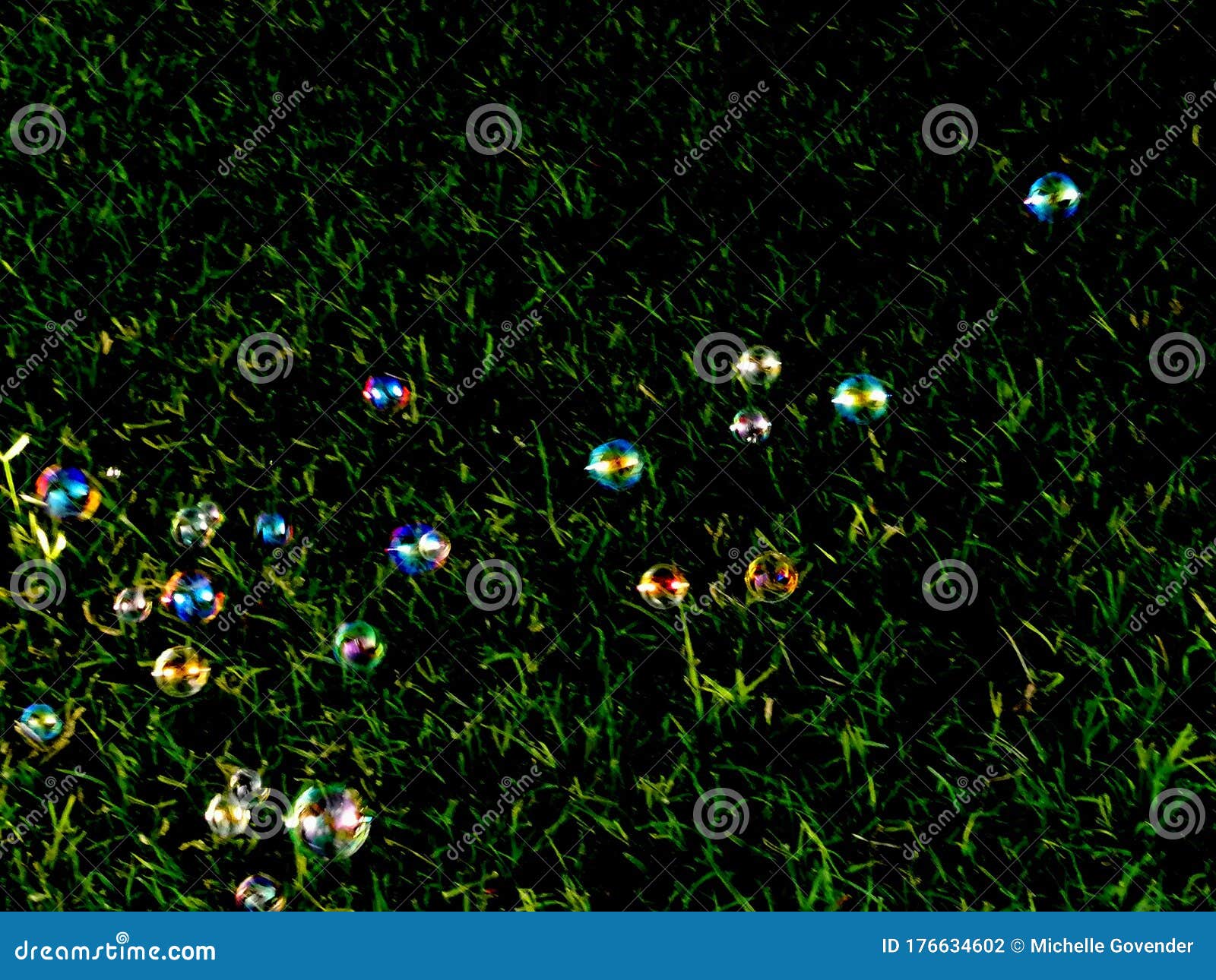 Follow me in nature stock photo. Image of grass, nature - 176634602