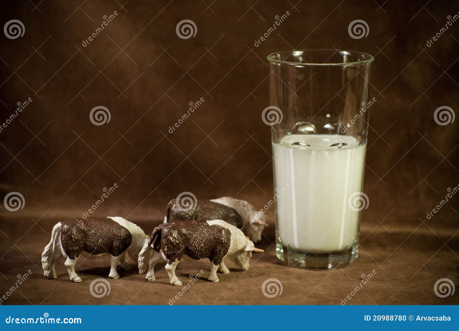 Follow the Milk stock photo. Image of following, meal - 20988780