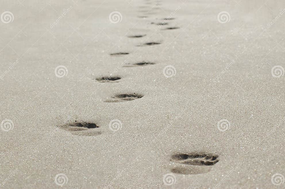 Follow in my Footsteps stock image. Image of holiday - 16604957
