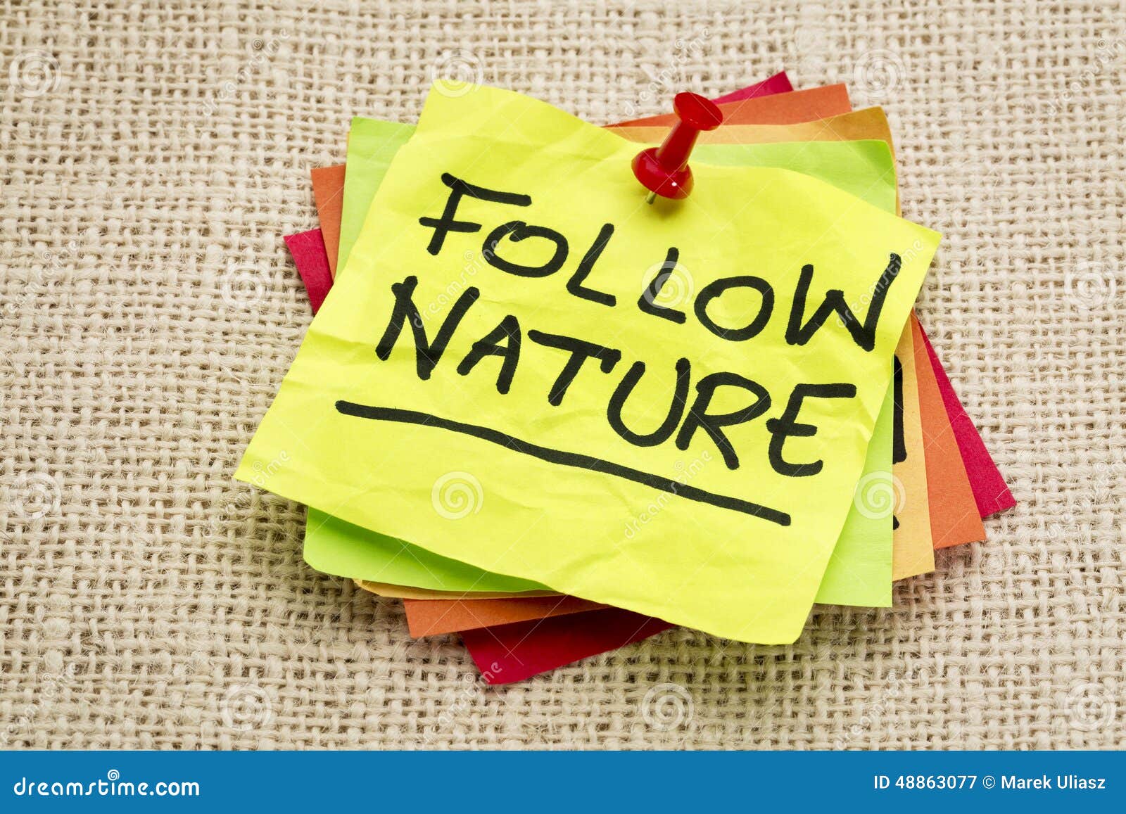 Follow nature stock image. Image of follow, spiritual - 48863077