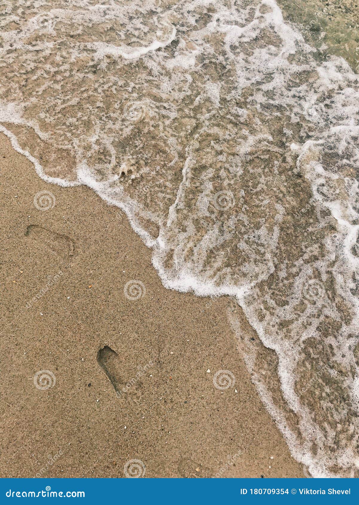 Follow the nature stock photo. Image of sand, seaside - 180709354