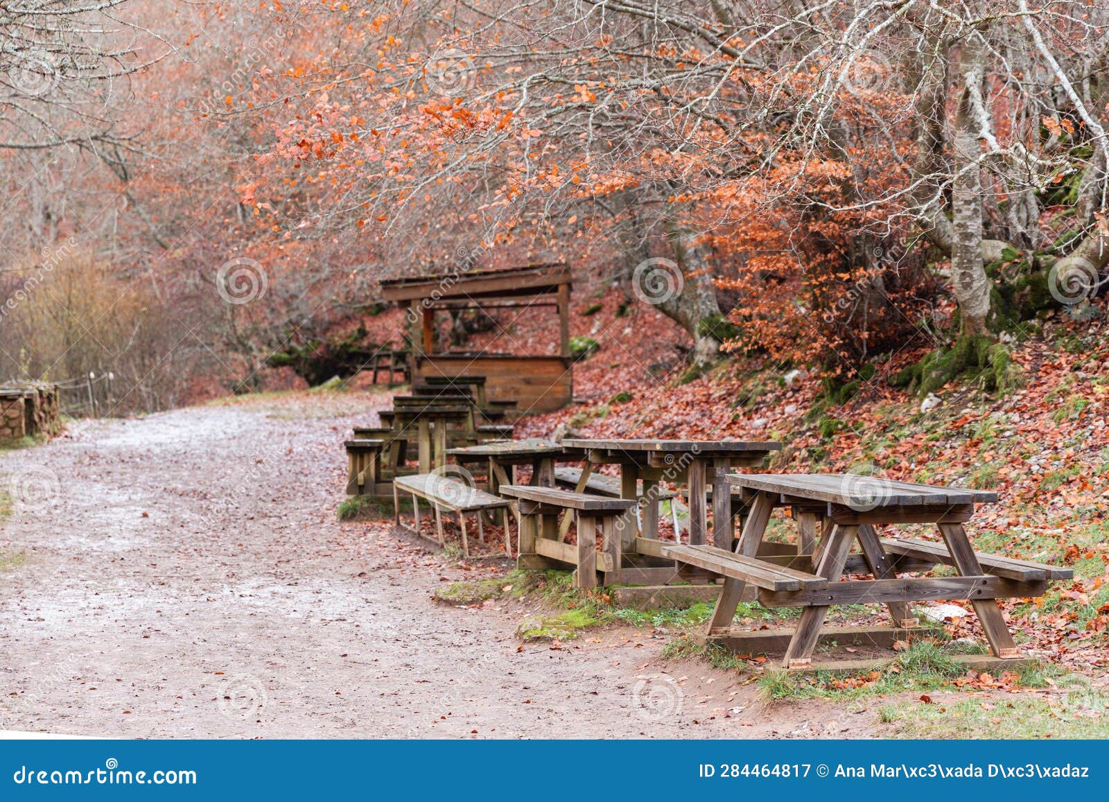 Follow the Path Adorned with Merendero Tables Stock Image - Image of ...