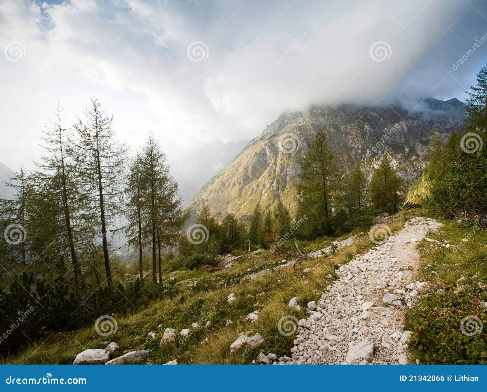 Follow the Path. Do Not Deviate. Stock Photo - Image of nature, high ...